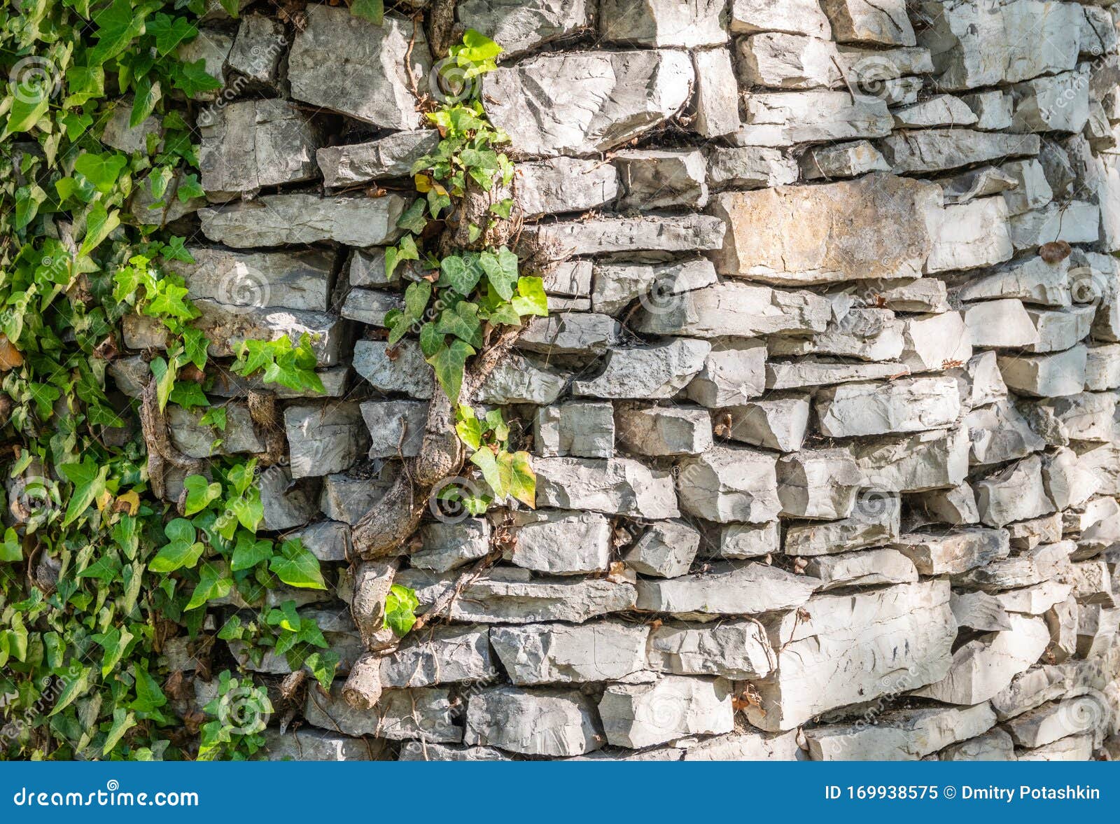Ancient Stone Wall Overgrown with Grass Stock Image - Image of hedge ...