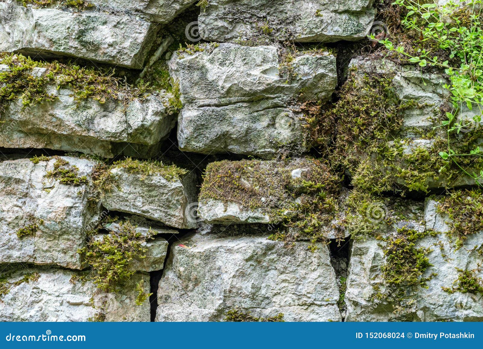 Ancient Stone Wall Overgrown with Grass and Moss Stock Photo - Image of ...