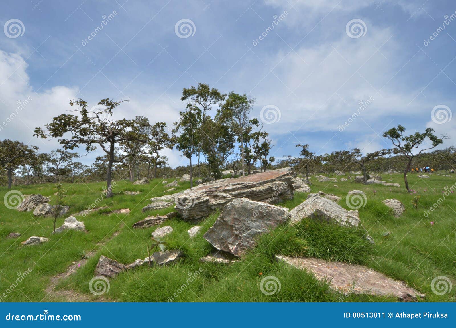 Ancient Stones in Green Grass Field Stock Image - Image of asia, space ...
