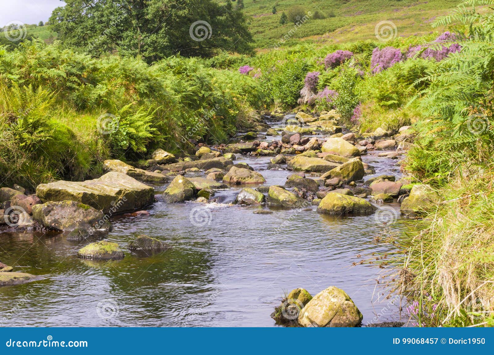Wheeldale Gill stock image. Image of gill, wheeldale - 99068457