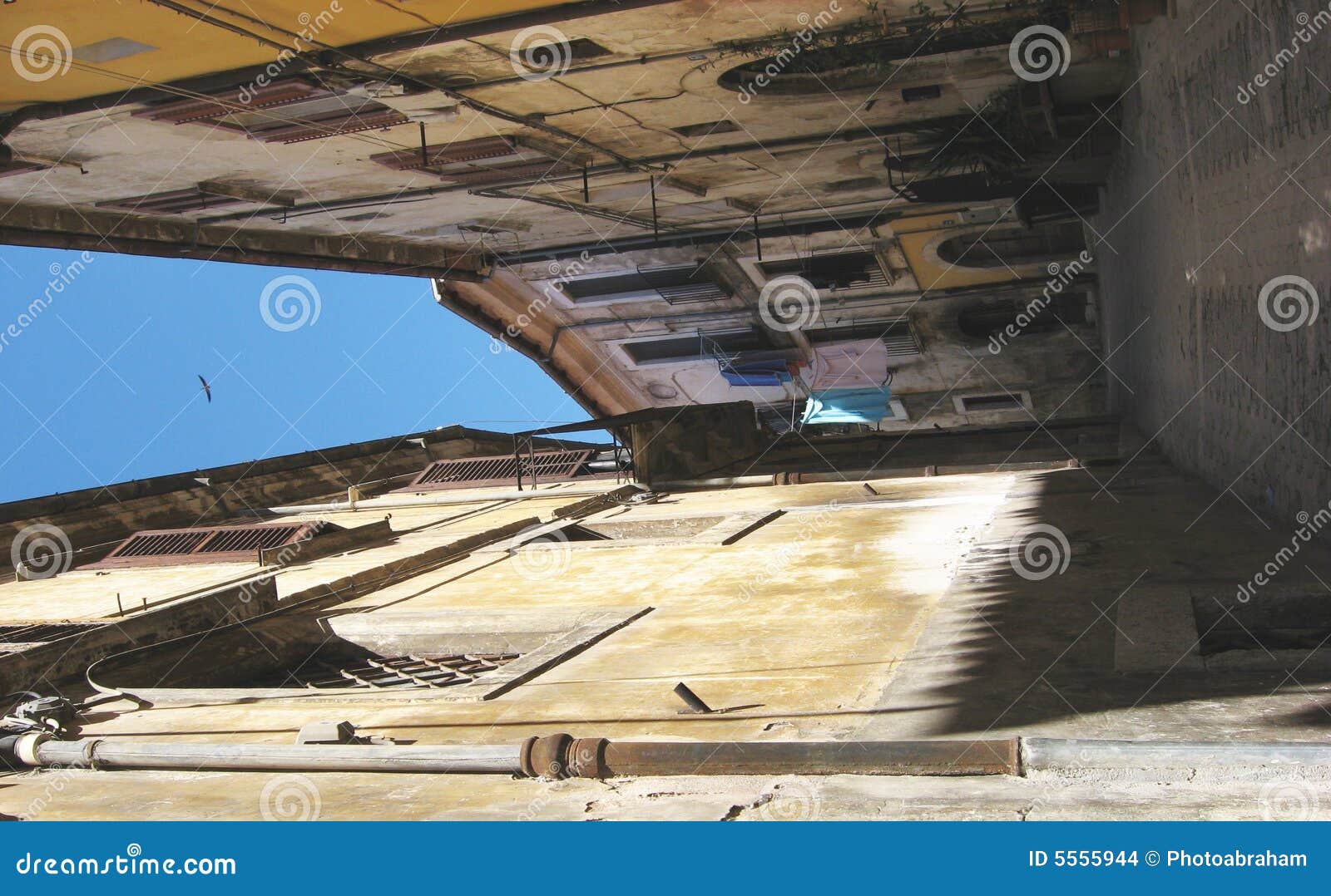 Ancient Street & Hawk in the S Stock Photo - Image of vacation ...
