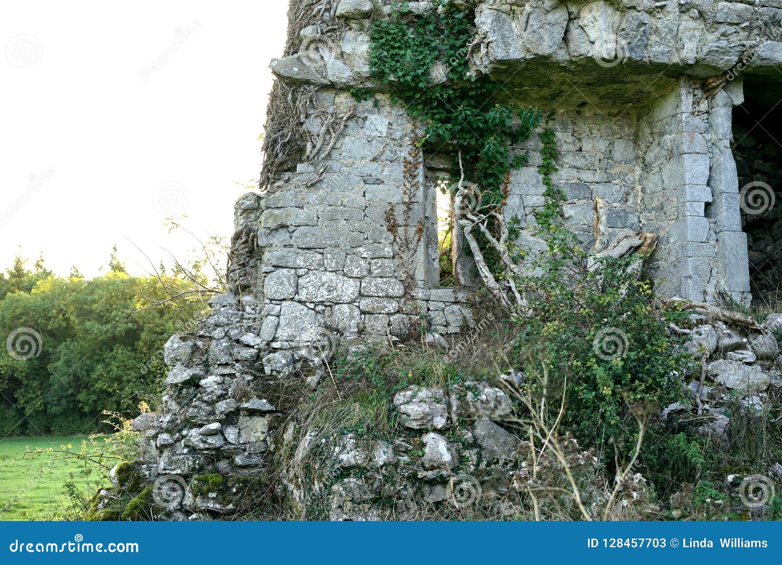 Ancient Structure Decays with Help from Nature Stock Image - Image of ...