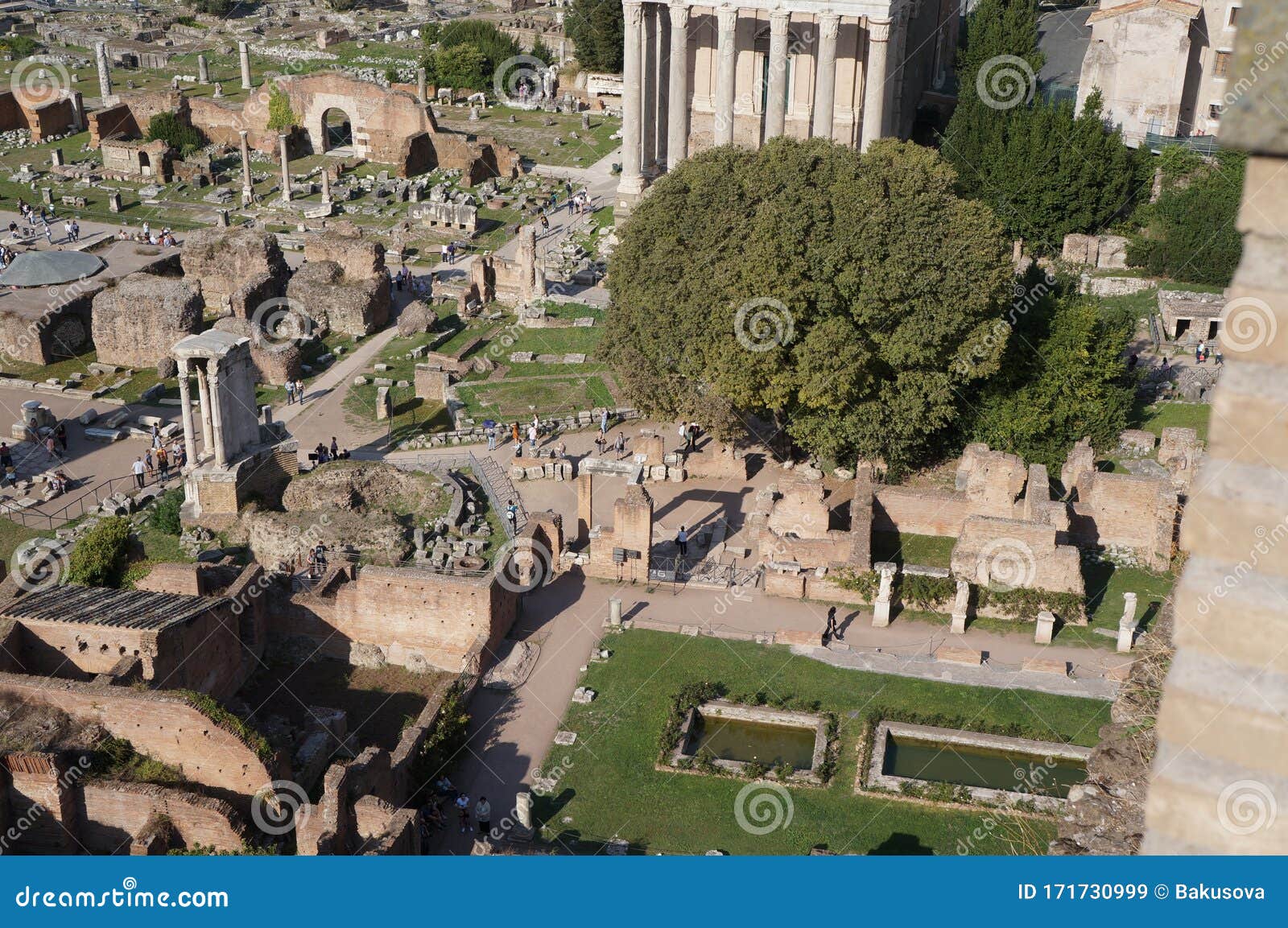 Ancient Structures of the Roman Forum Stock Image - Image of ...