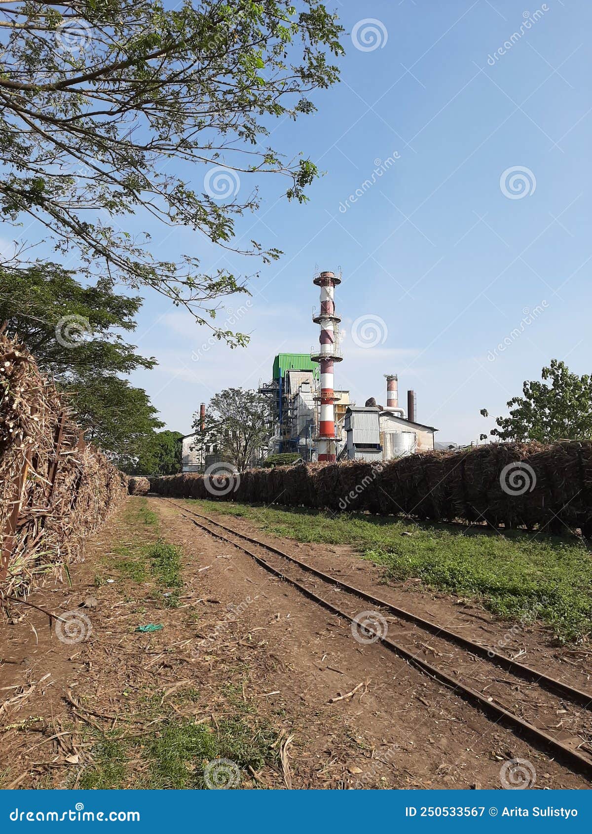 Ancient sugar factory stock image. Image of green, factory - 250533567