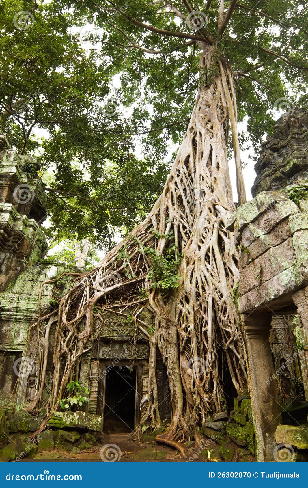 Ancient Ta Prohm Temple stock photo. Image of architecture - 26302070