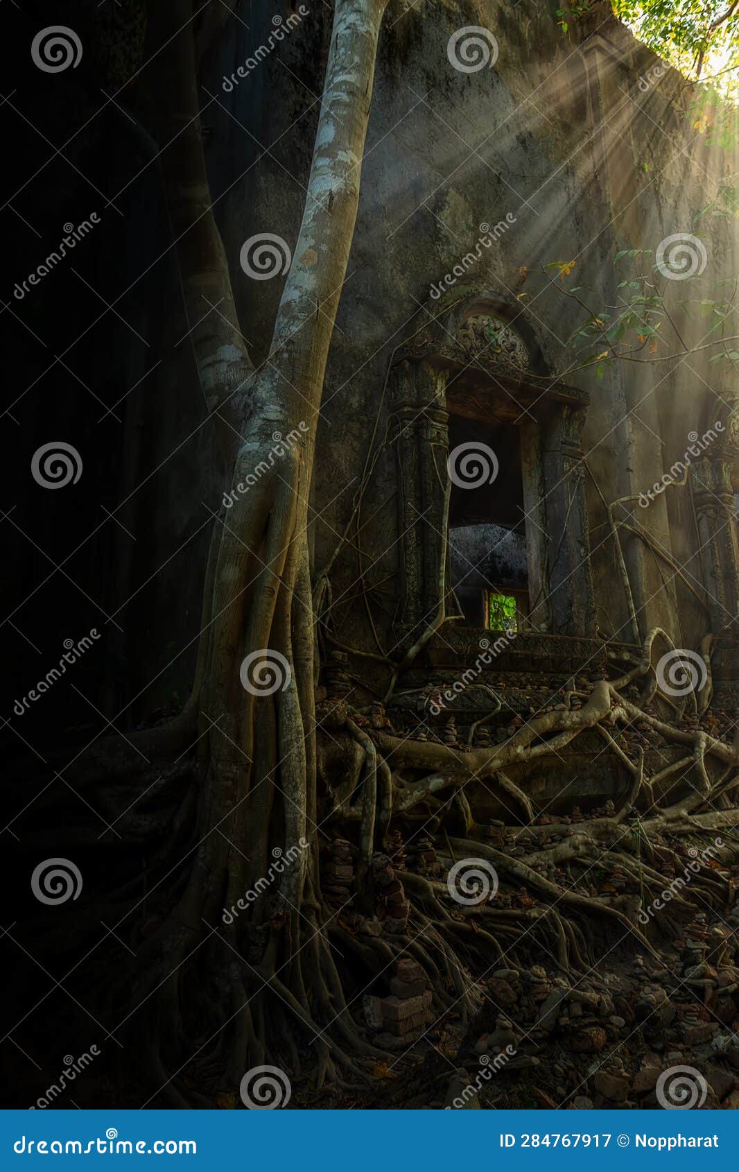 The Ancient Temple Has a Covered Tree Root Stock Image - Image of ...