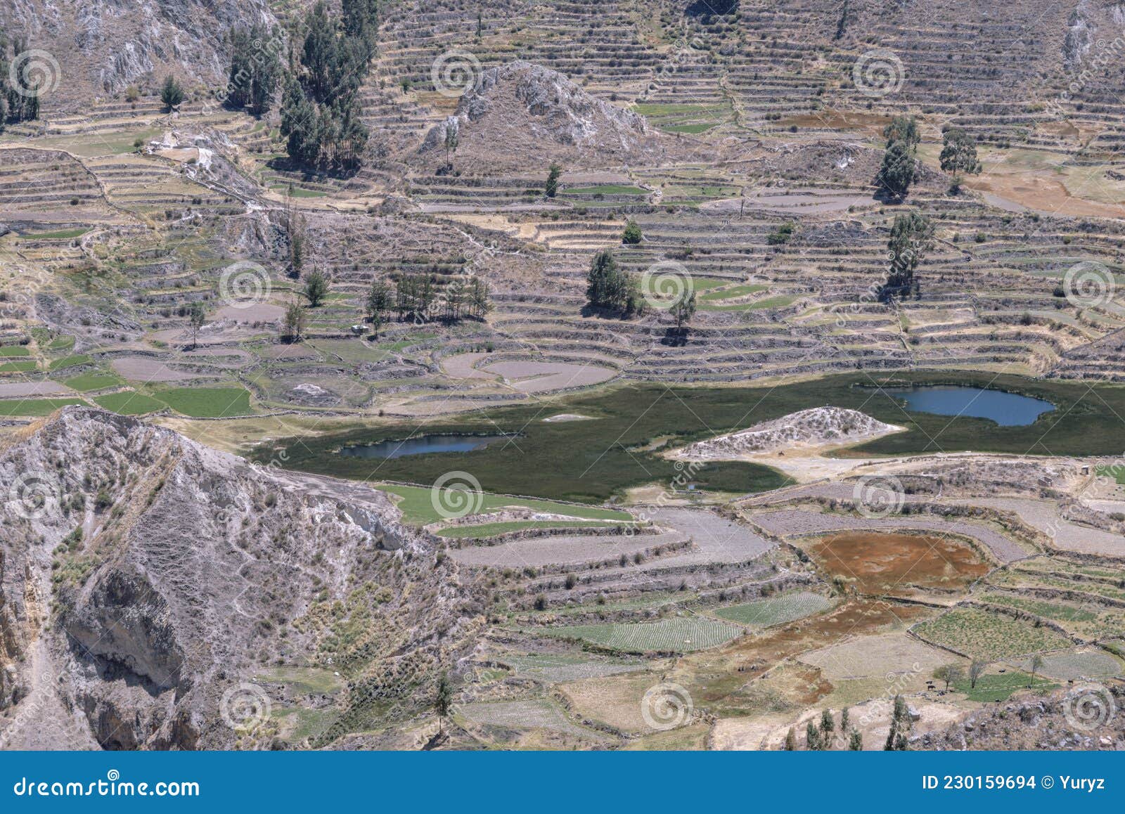 Ancient terraced land stock photo. Image of ancient - 230159694