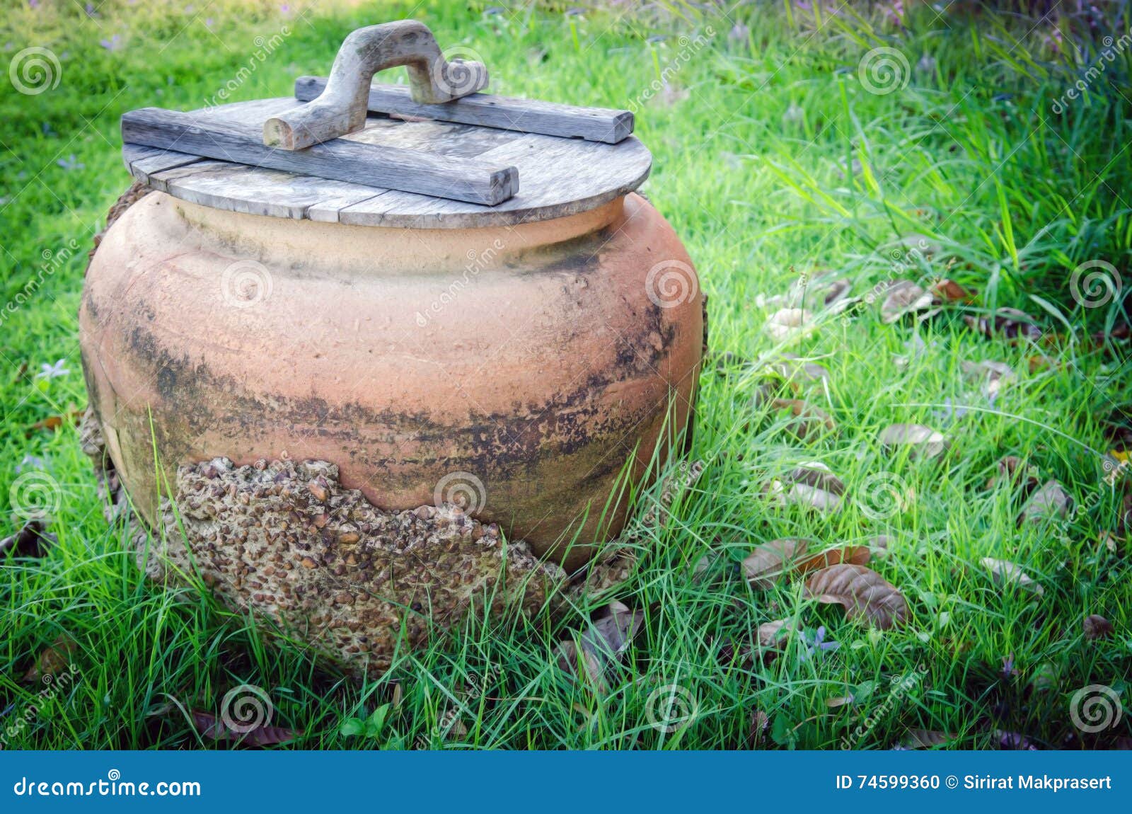 Ancient Thai Jars for Storage Rainwater and Earthen Jar in the G Stock ...