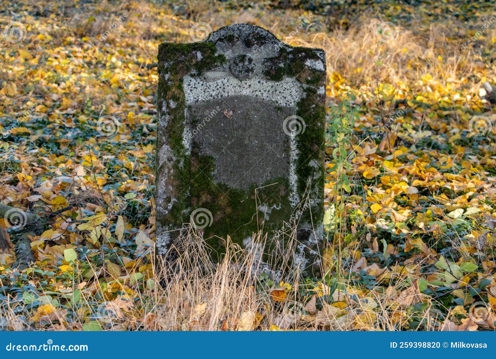 The Ancient Tombstone with a Grave Covered with Autumn Leaves Stock ...