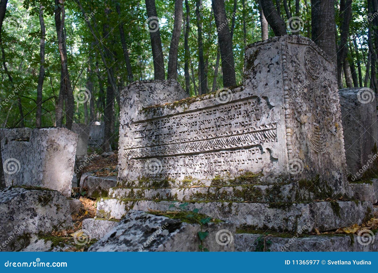 Ancient Tombstones in the Woods Stock Image - Image of rock, religion ...