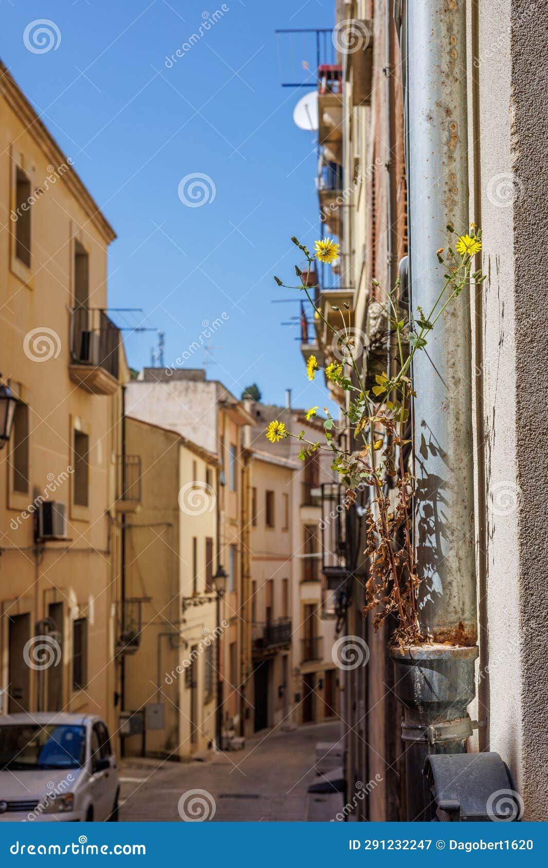 The Ancient Town of Salemi on the Island of Sicily Stock Image - Image ...