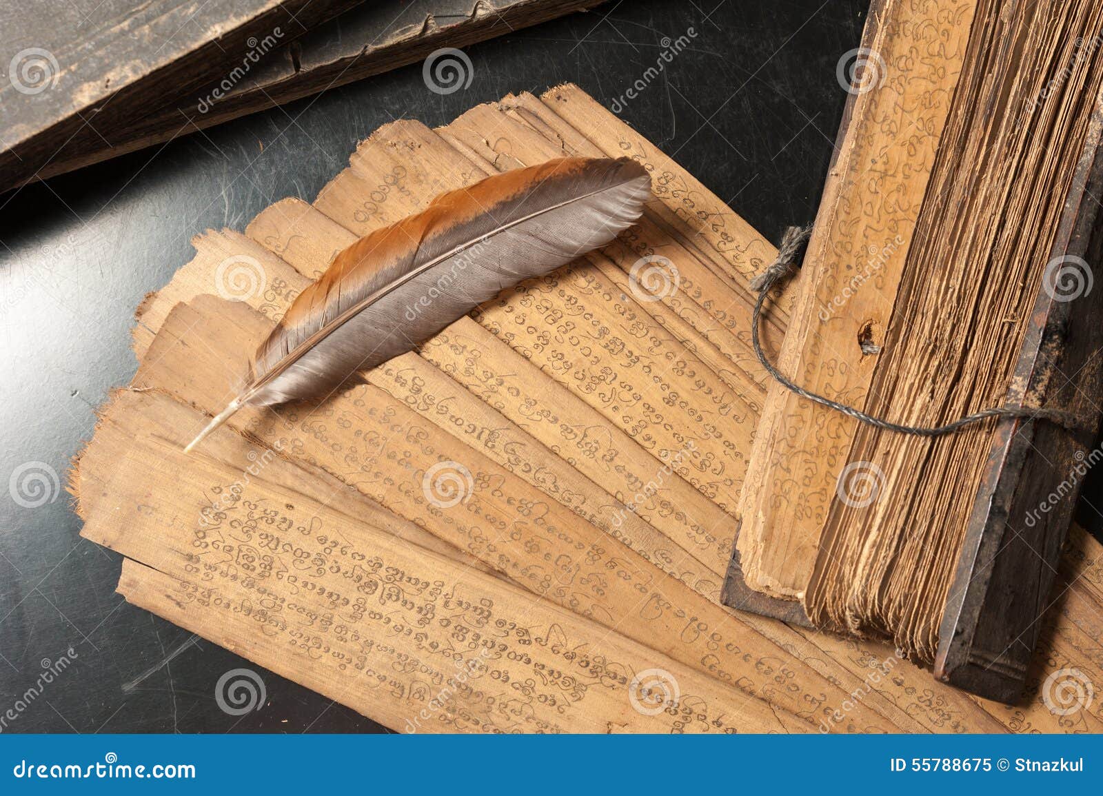 Ancient Treatise with Bird Feather Stock Image - Image of myanmar ...