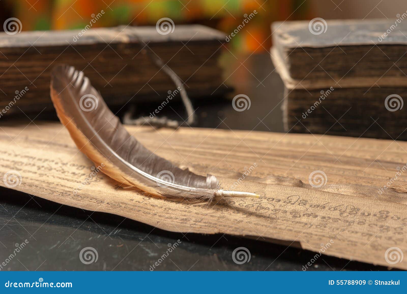Ancient Treatise with Bird Feather Stock Image - Image of vintage ...