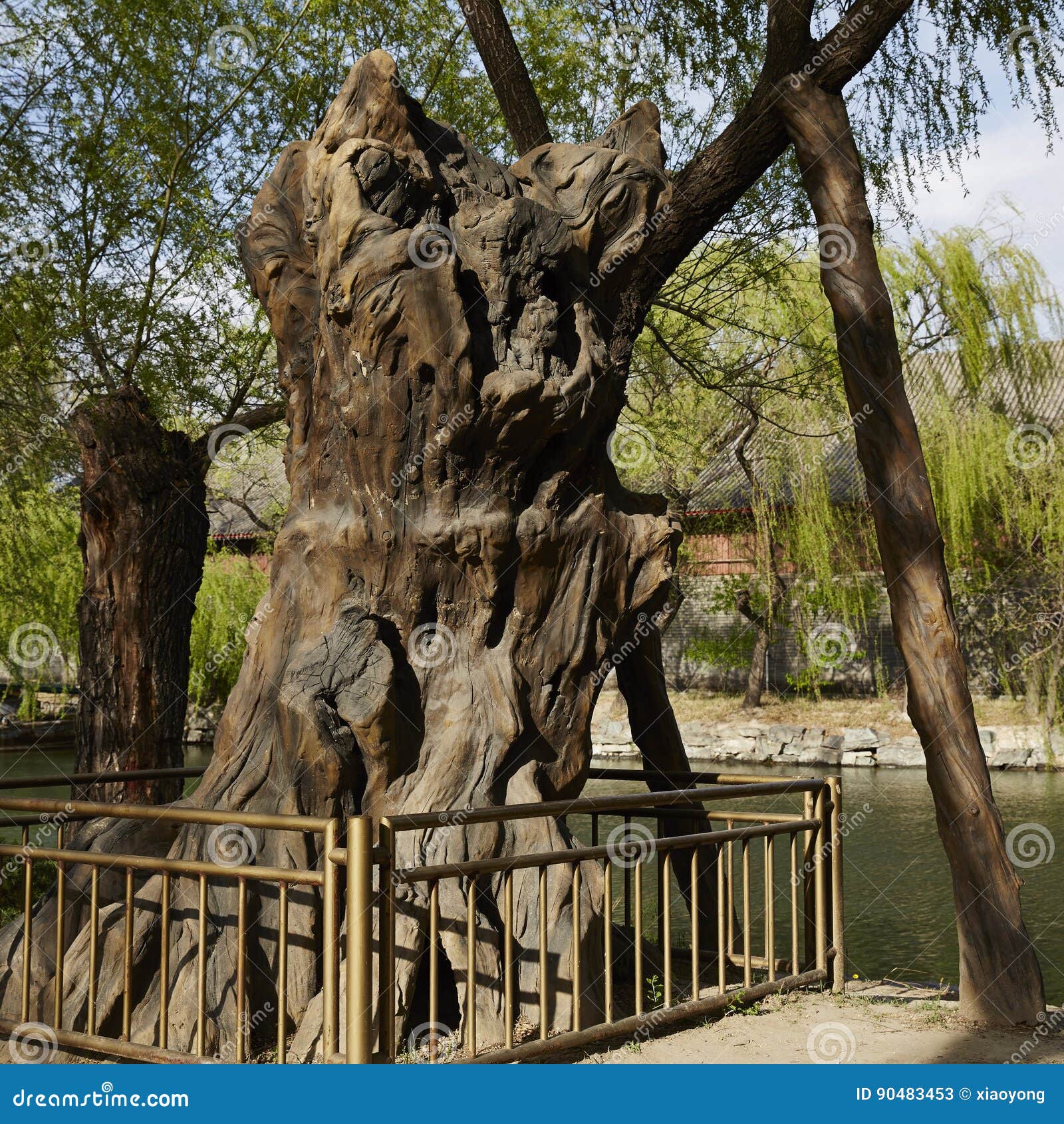 Ancient tree protection stock image. Image of environment - 90483453