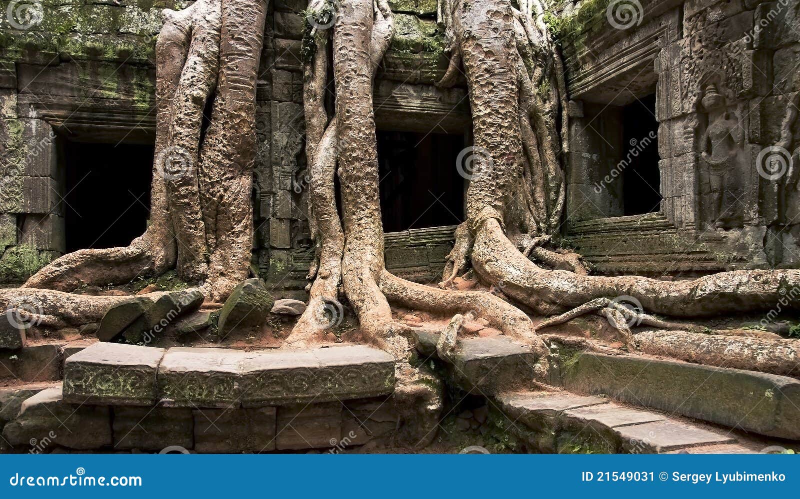 Ancient Tree and Ruins of Angkor Stock Image - Image of historic, root ...
