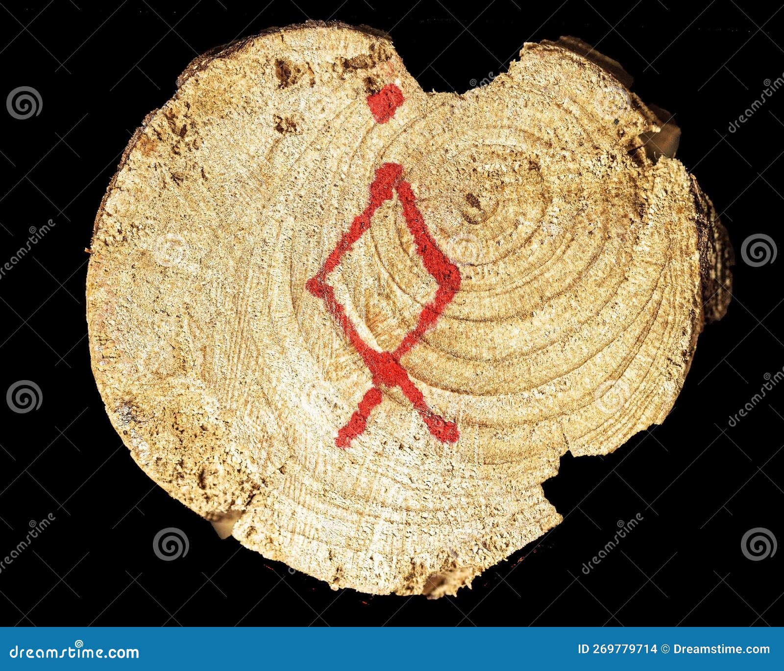 Ancient Viking Rune on Tree Wood Stock Photo - Image of petal, organ ...