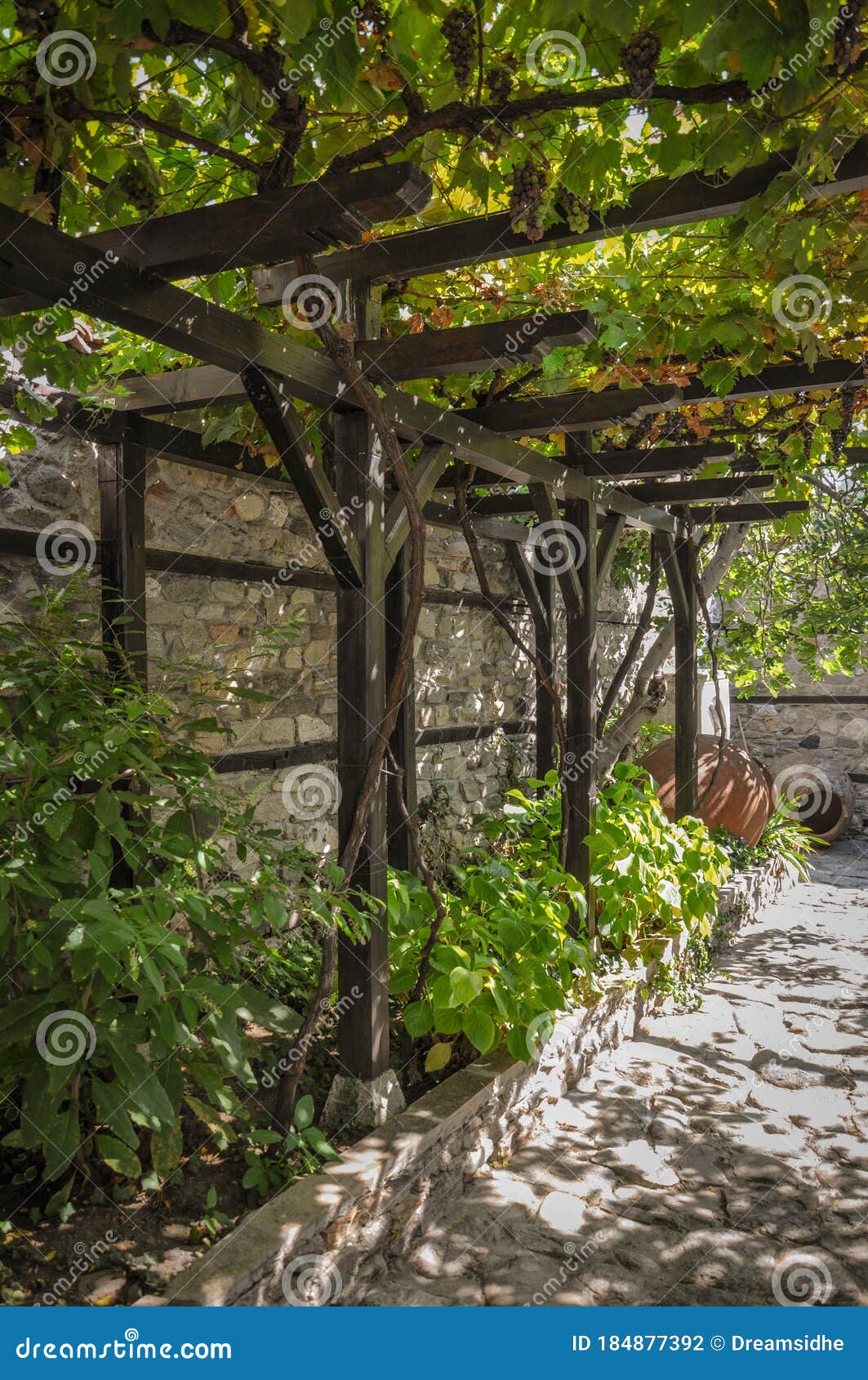 Ancient Vineyard. Construction with Pillars and Crossbars Stock Photo ...