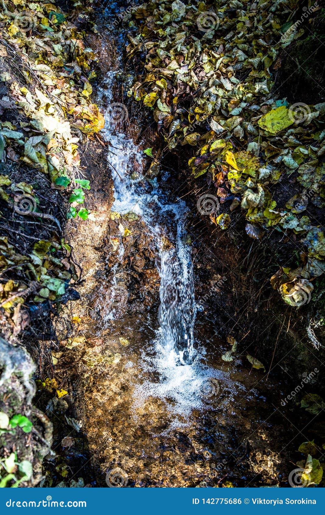 Ancient Waterfall in the Forest Stock Photo - Image of beautiful, river ...