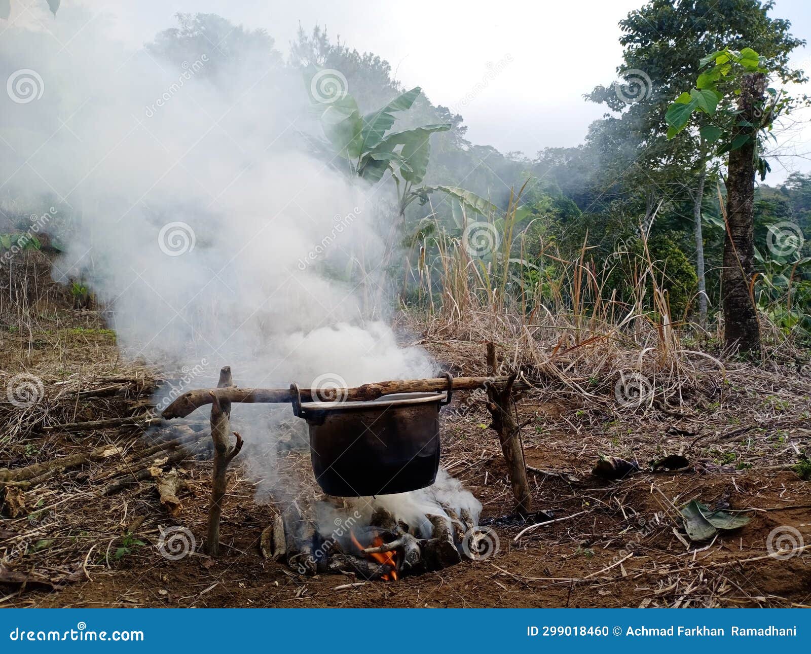 Cooking Using Ancient Methods Stock Photo - Image of landscape, forest ...