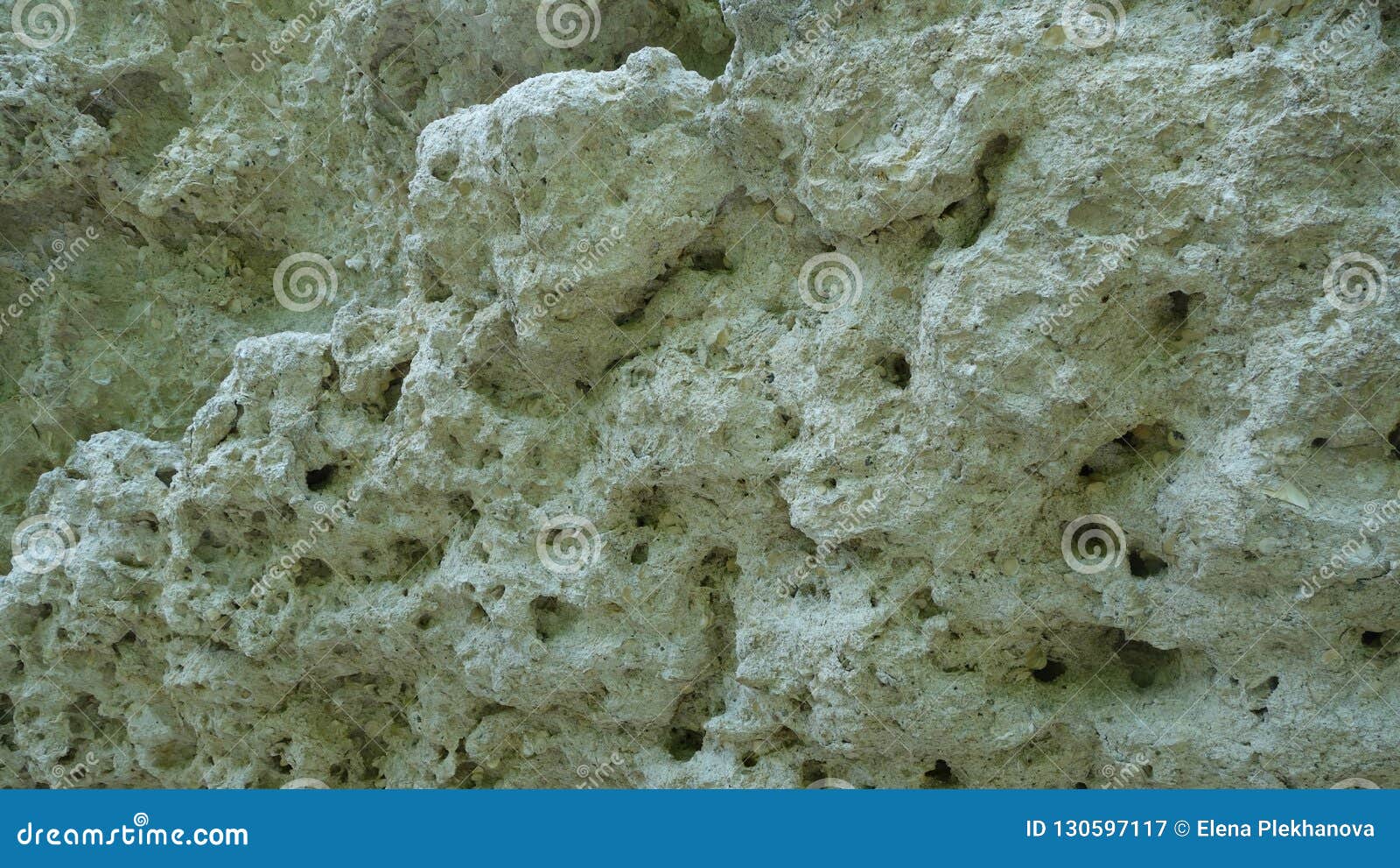 Limestone Shells Stock Photos - Download 670 Royalty Free Photos