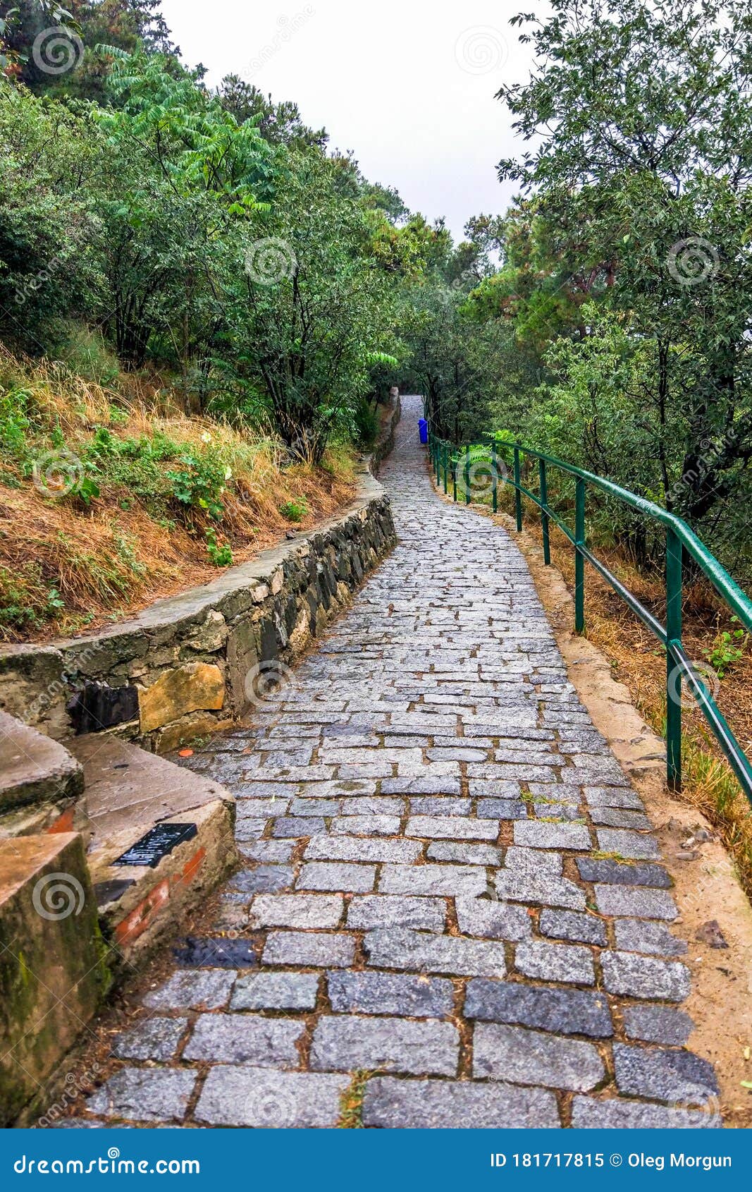 Winding Cobblestone Road