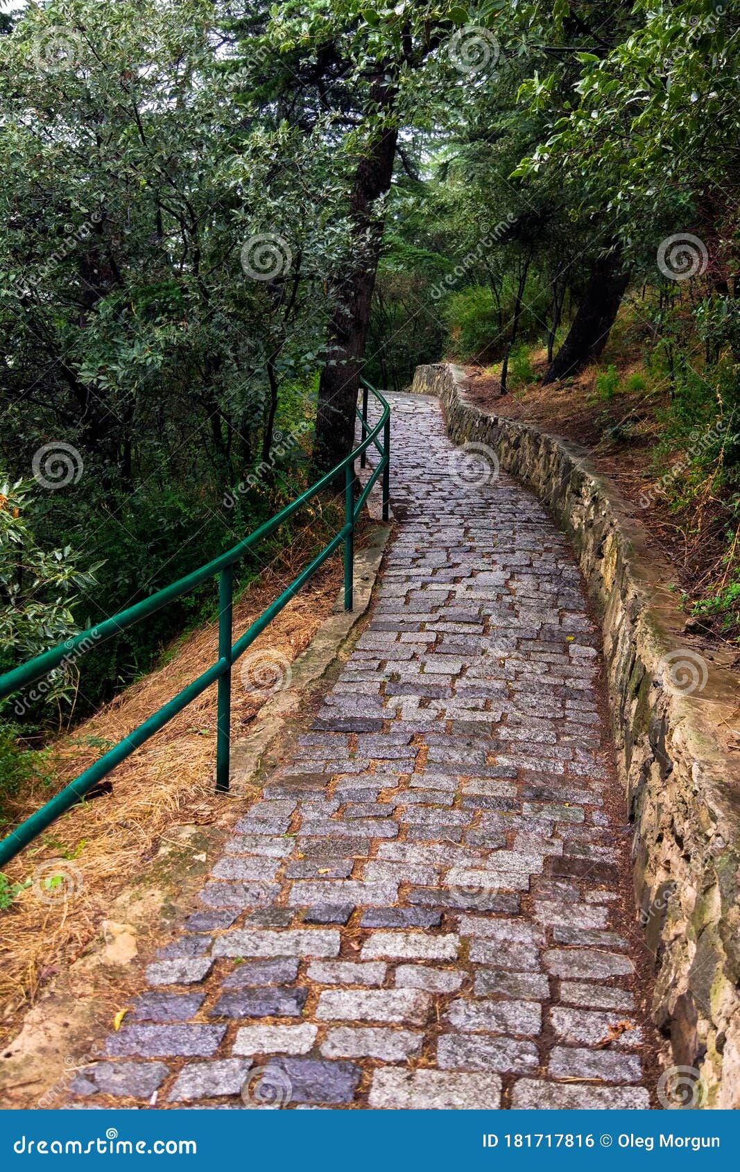 Winding Cobblestone Road