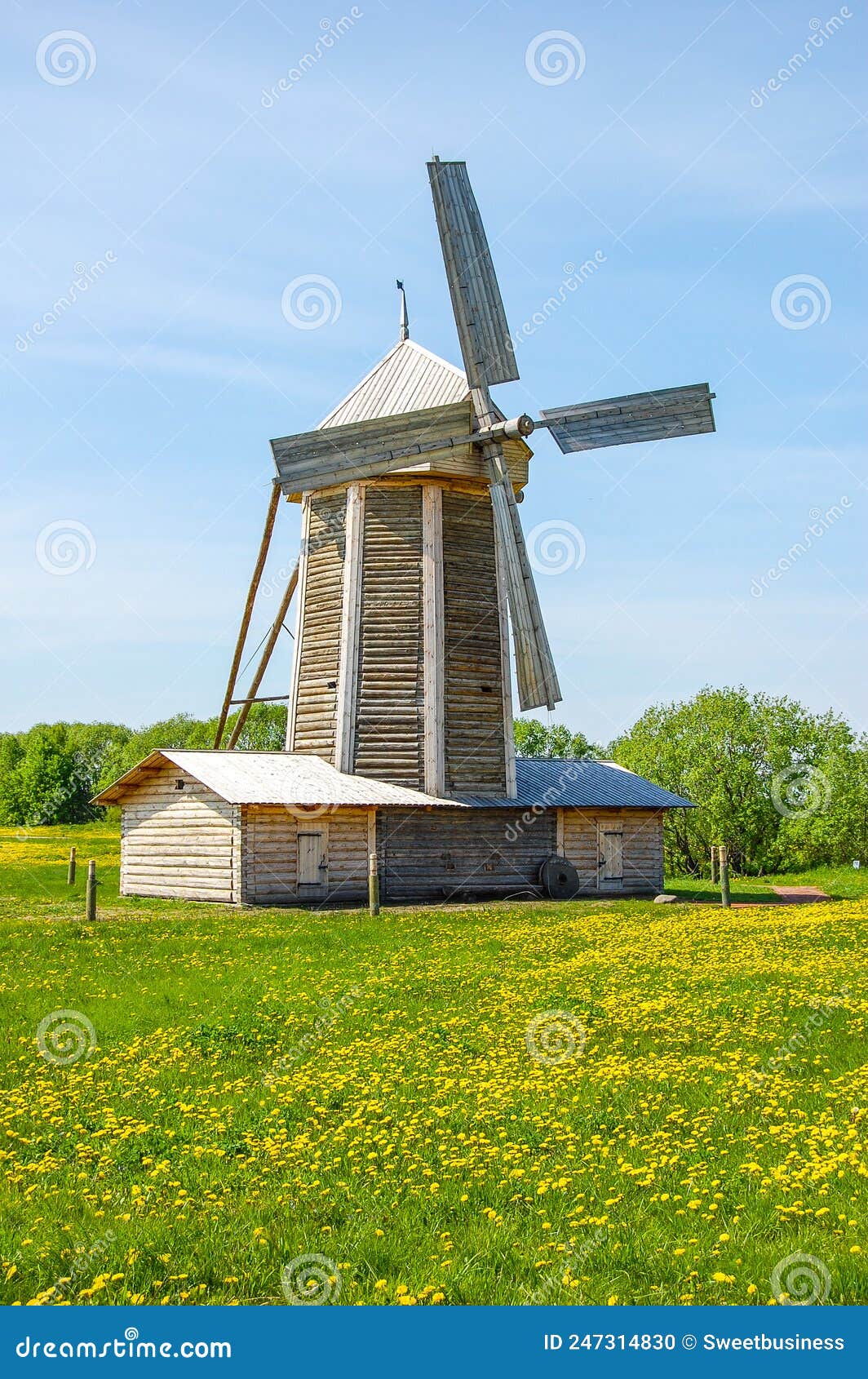 Ancient Windmill with Thatched Roofing in a Green Meadow Stock Photo ...