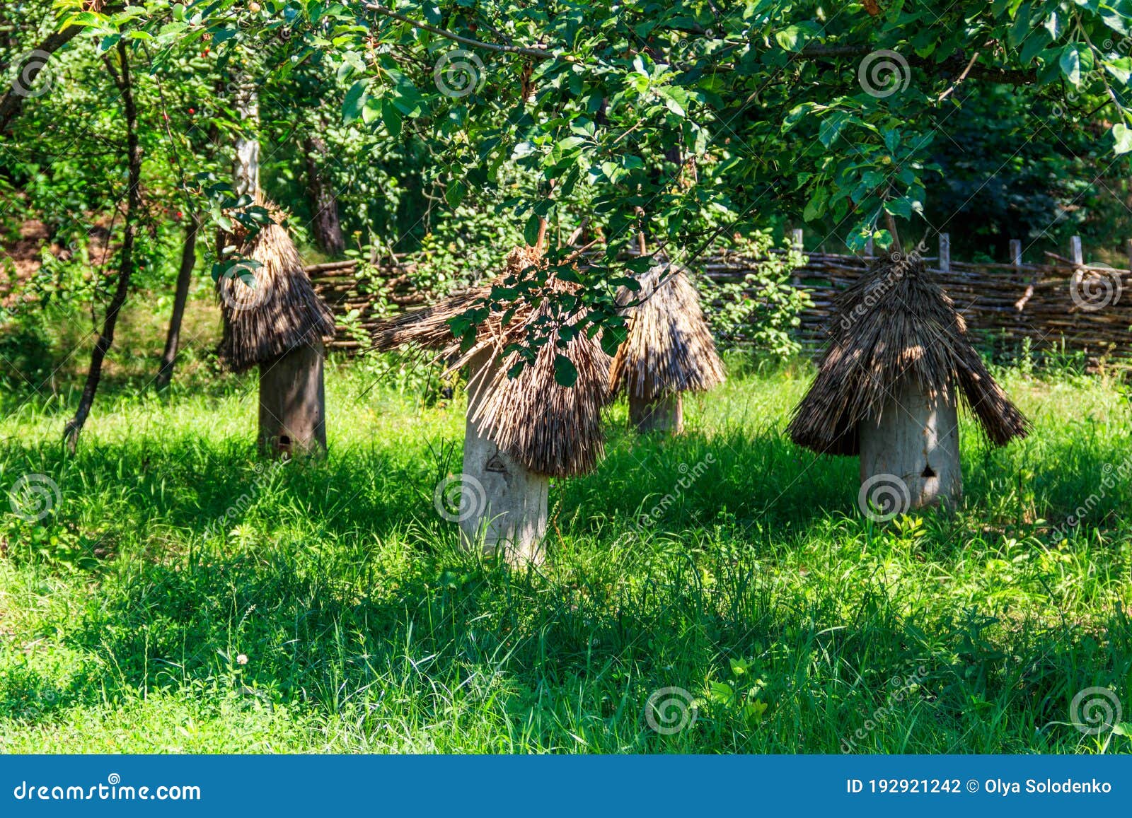Ancient Wooden Beehives in Old Rural Apiary Stock Photo - Image of ...