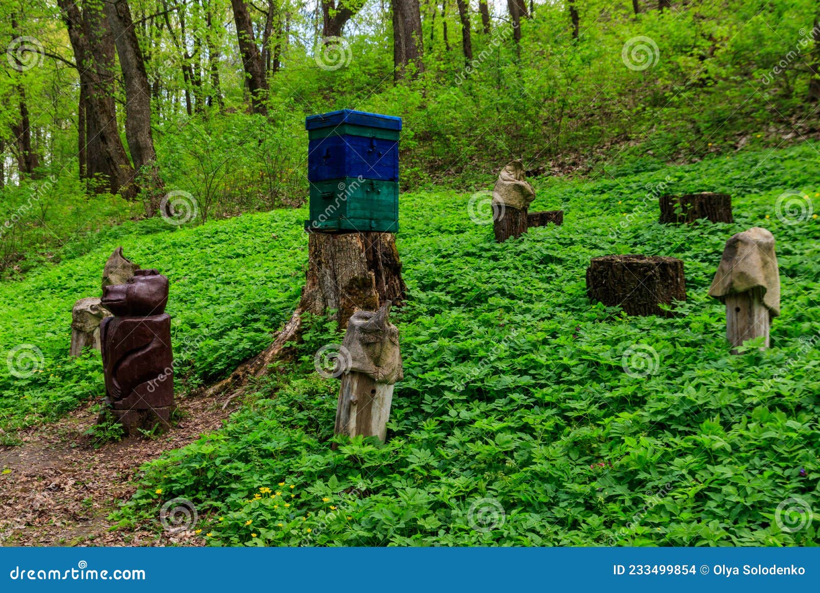 Ancient Wooden Beehives in Old Rural Apiary Stock Photo - Image of ...