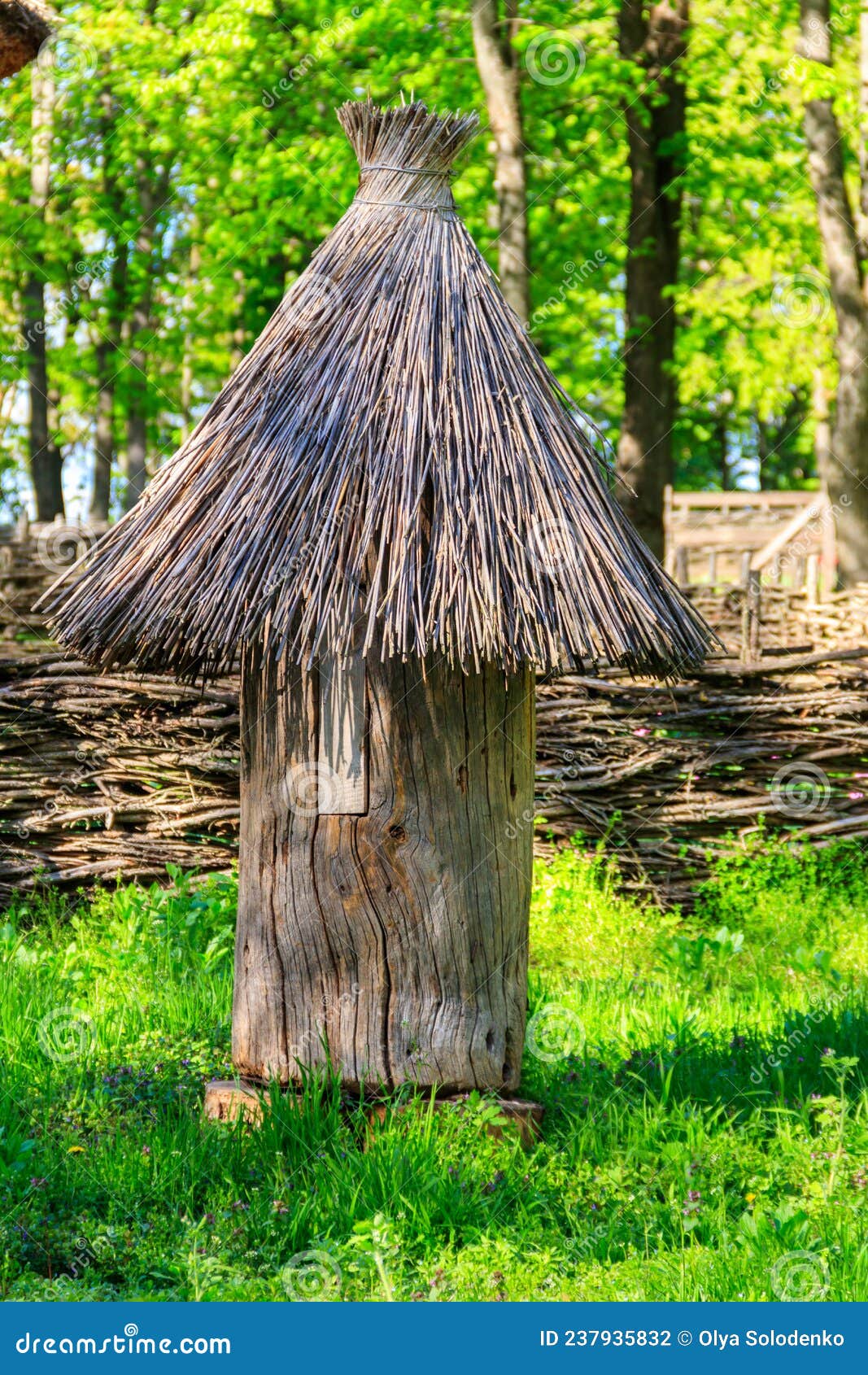 Ancient Wooden Beehives in Old Rural Apiary Stock Photo - Image of ...