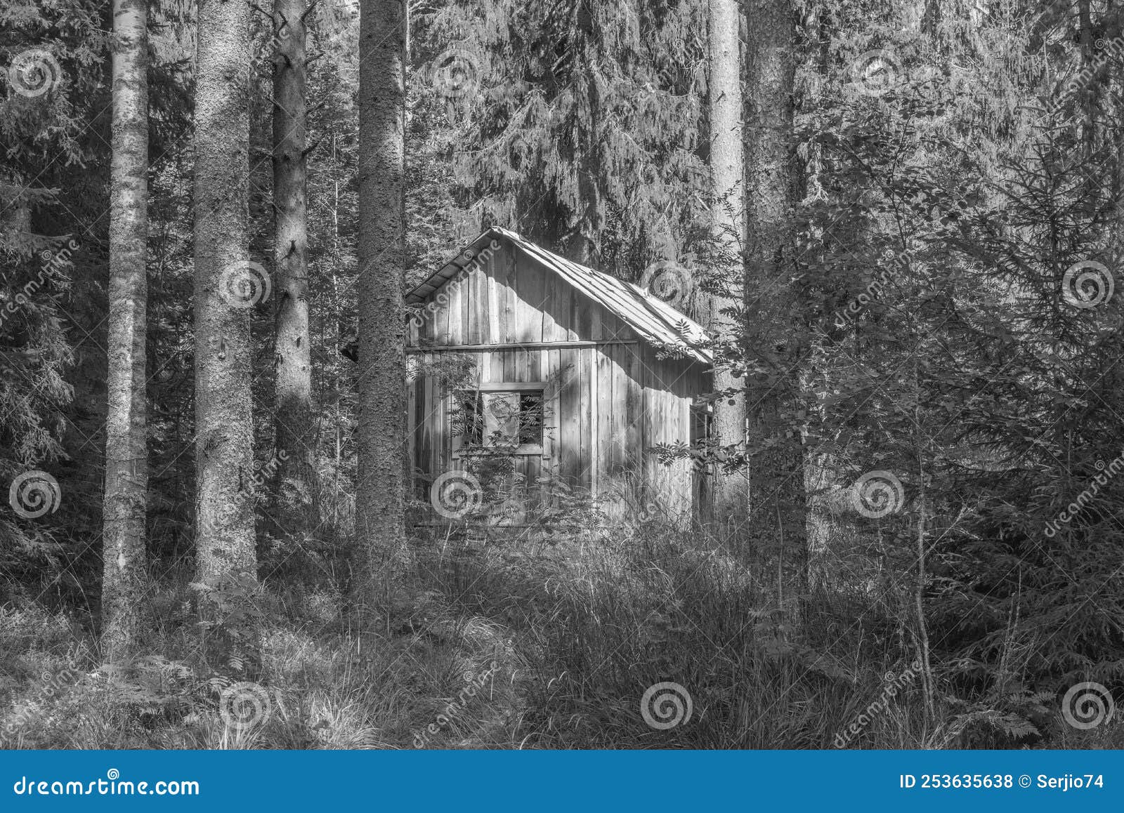 Ancient Wooden House in the Forest Stock Photo - Image of poor, forest ...
