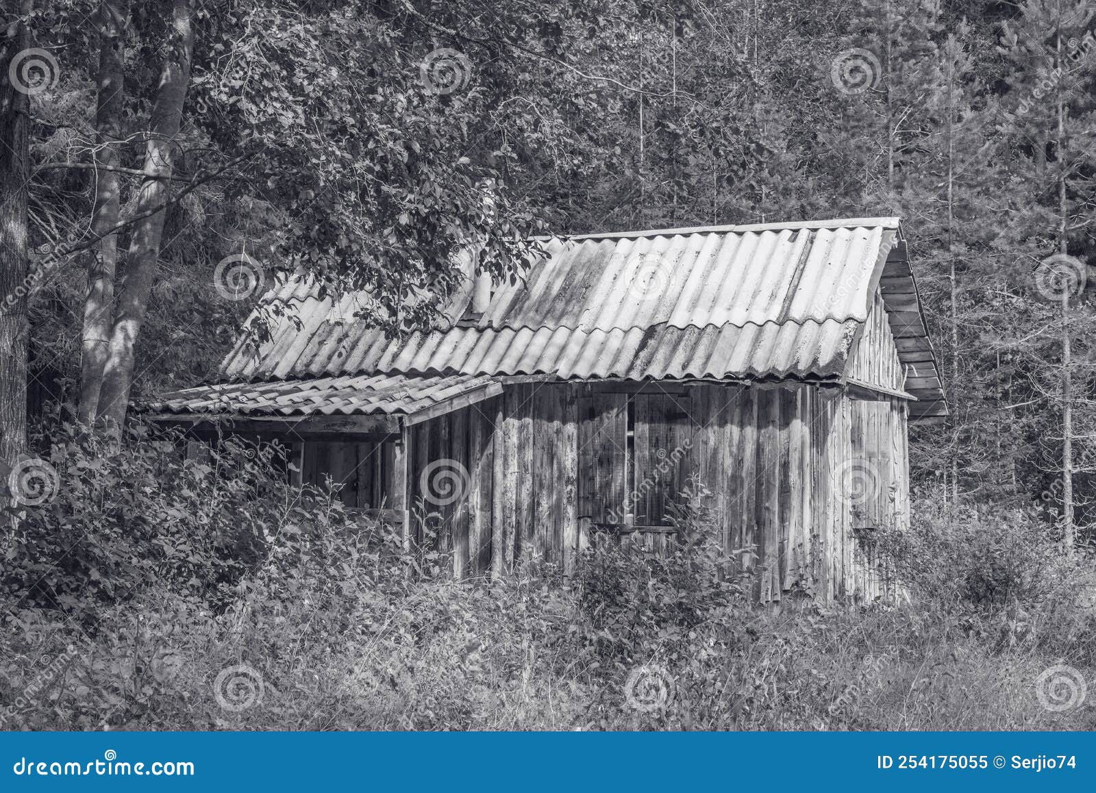 Ancient Wooden House in the Forest Stock Image - Image of home ...