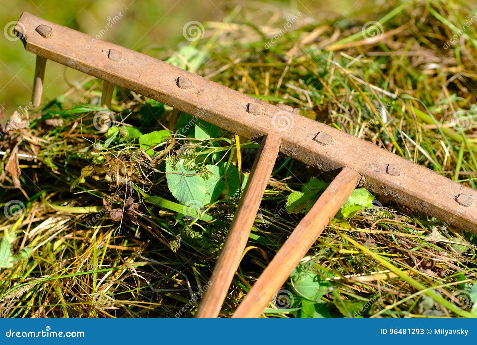 An Ancient Wooden Rake Lying on Hay Stock Image - Image of fields ...