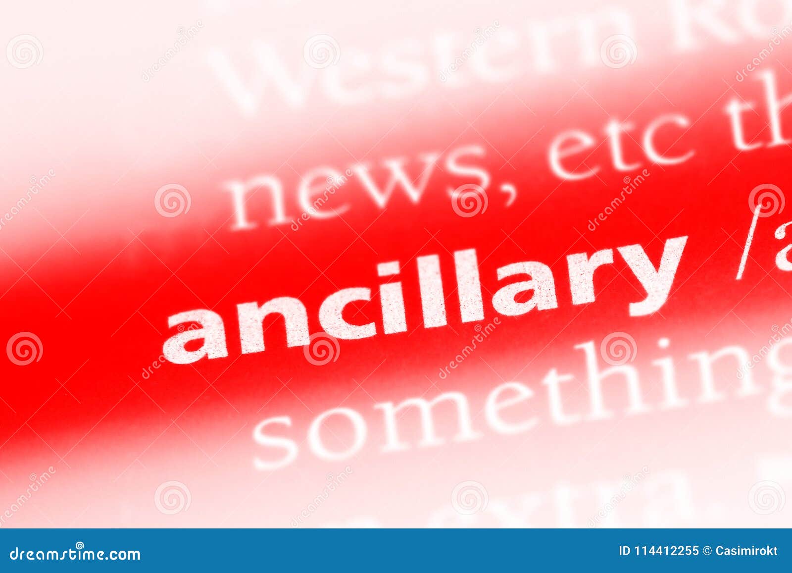 Ancillary stock image. Image of text, dictionary, book - 114412255