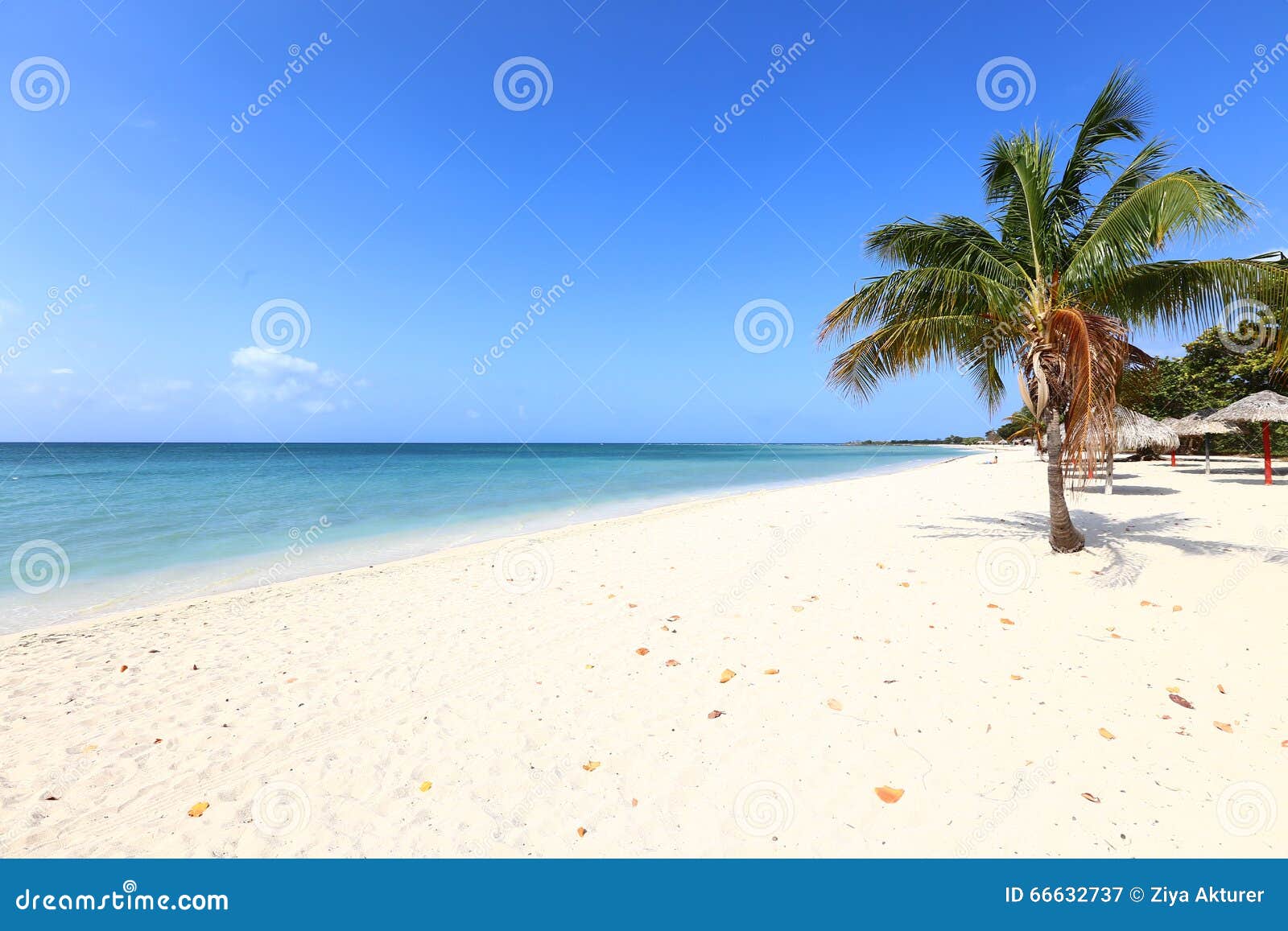 Ancon Beach stock image. Image of honeymoon, tropical - 66632737