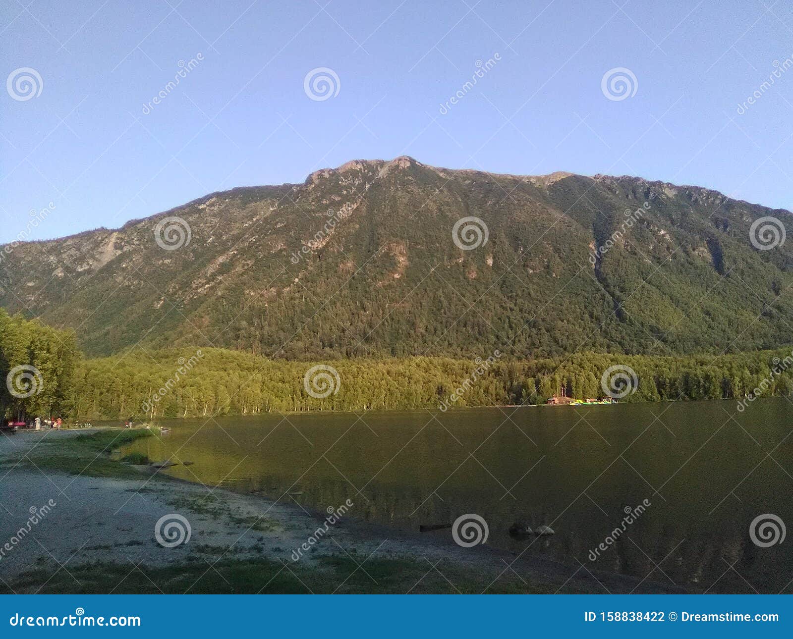 Ancoro Alaska foto de archivo. Imagen de vida, tomar - 158838422