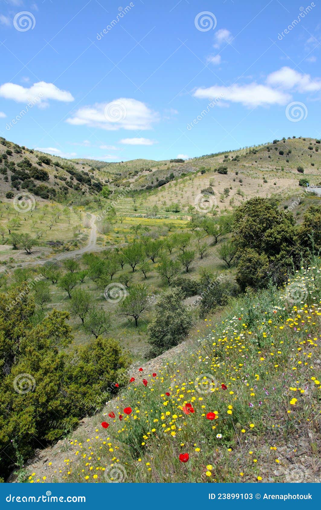 Andalusia Countryside in Spring Stock Image - Image of olive, flowers ...