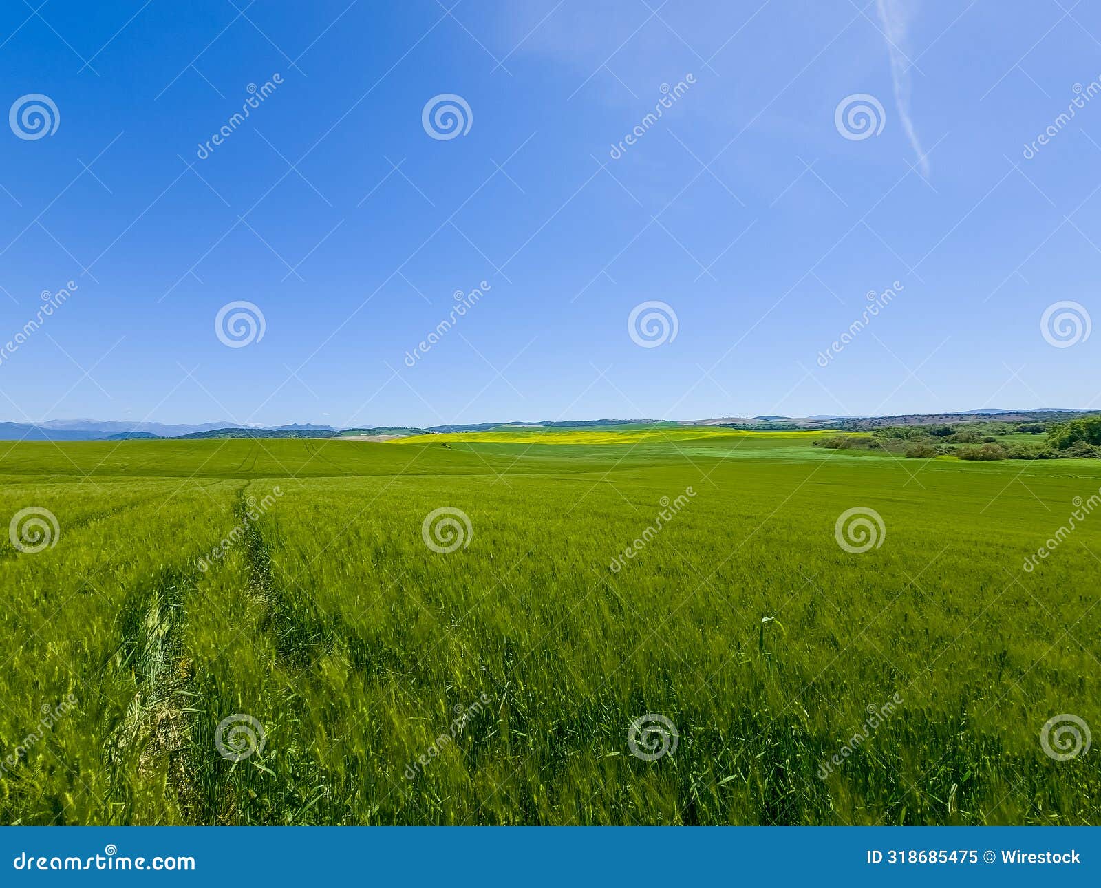 Andalusia Landscape during Spring in Spain Stock Image - Image of crops ...