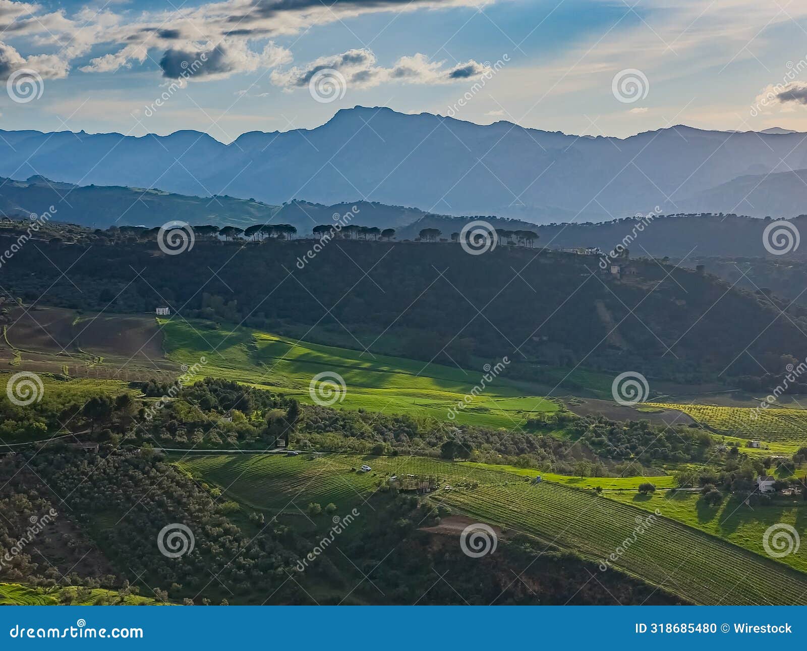 Andalusia Landscape during Spring in Spain Stock Photo - Image of ...