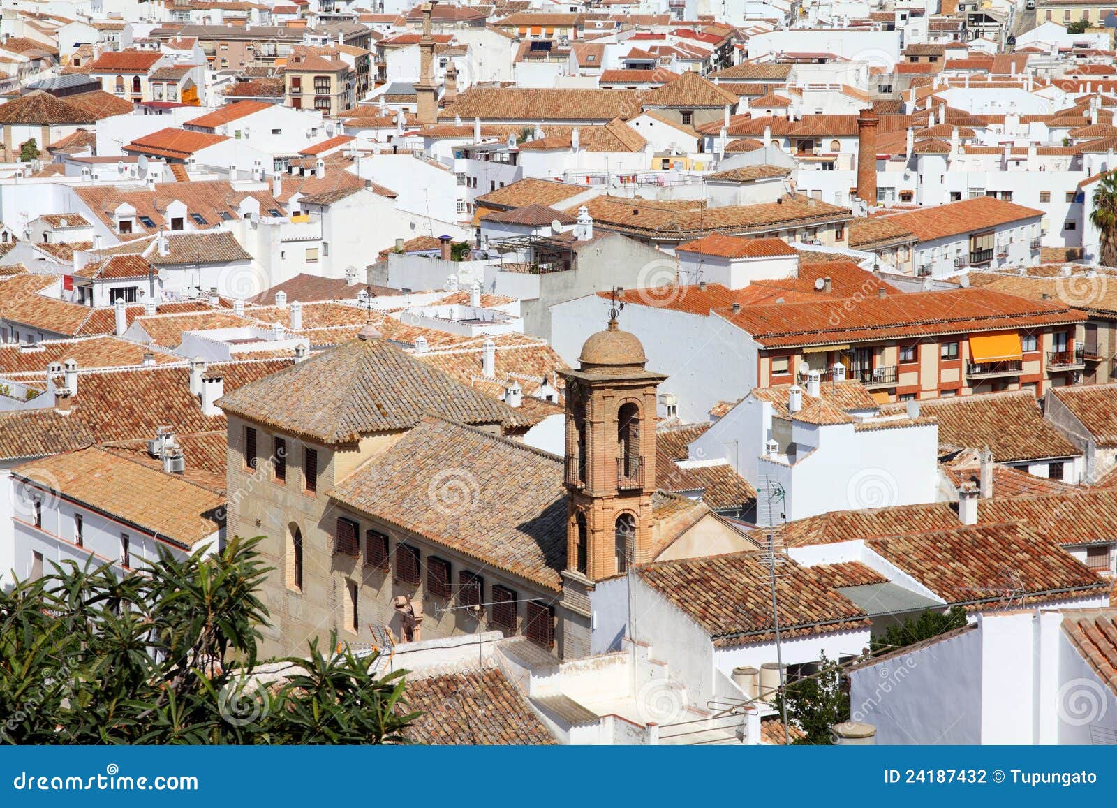 Talk:Spagonia | Sonic Wiki Zone | Fandom