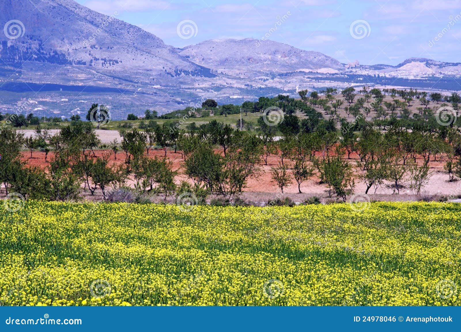 Andalusian Countryside, Spain. Stock Photo - Image of architecture ...