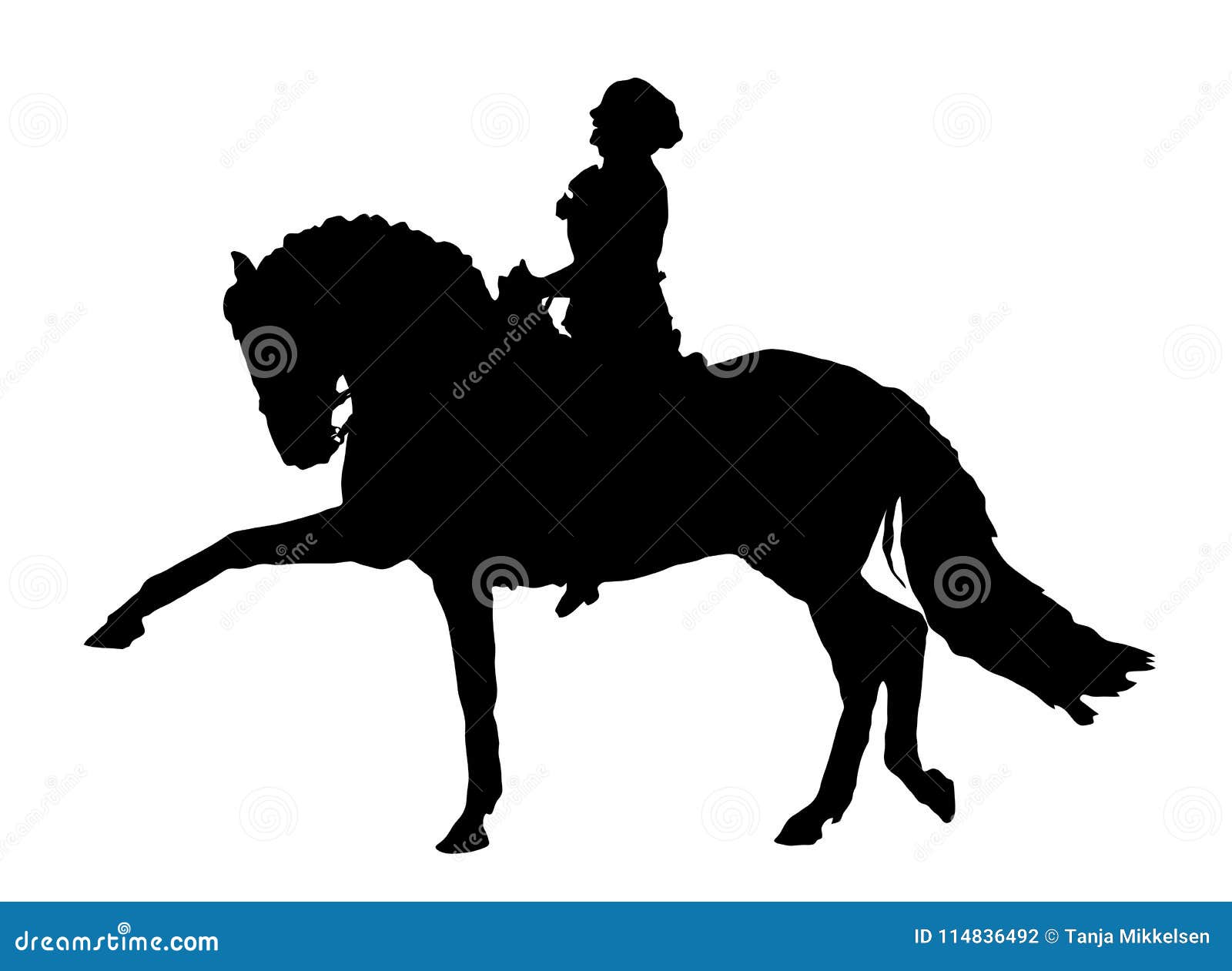 Andalusian Horse Doing Spanish Walk Stock Illustration - Illustration ...