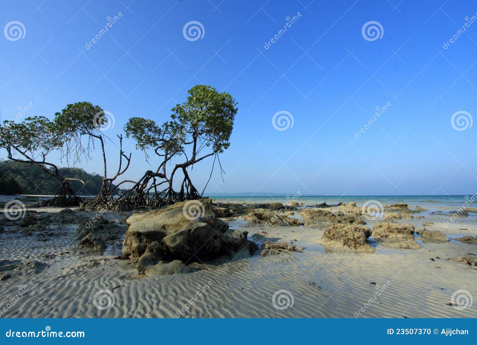Andaman Islands of India stock photo. Image of lean, beautiful - 23507370