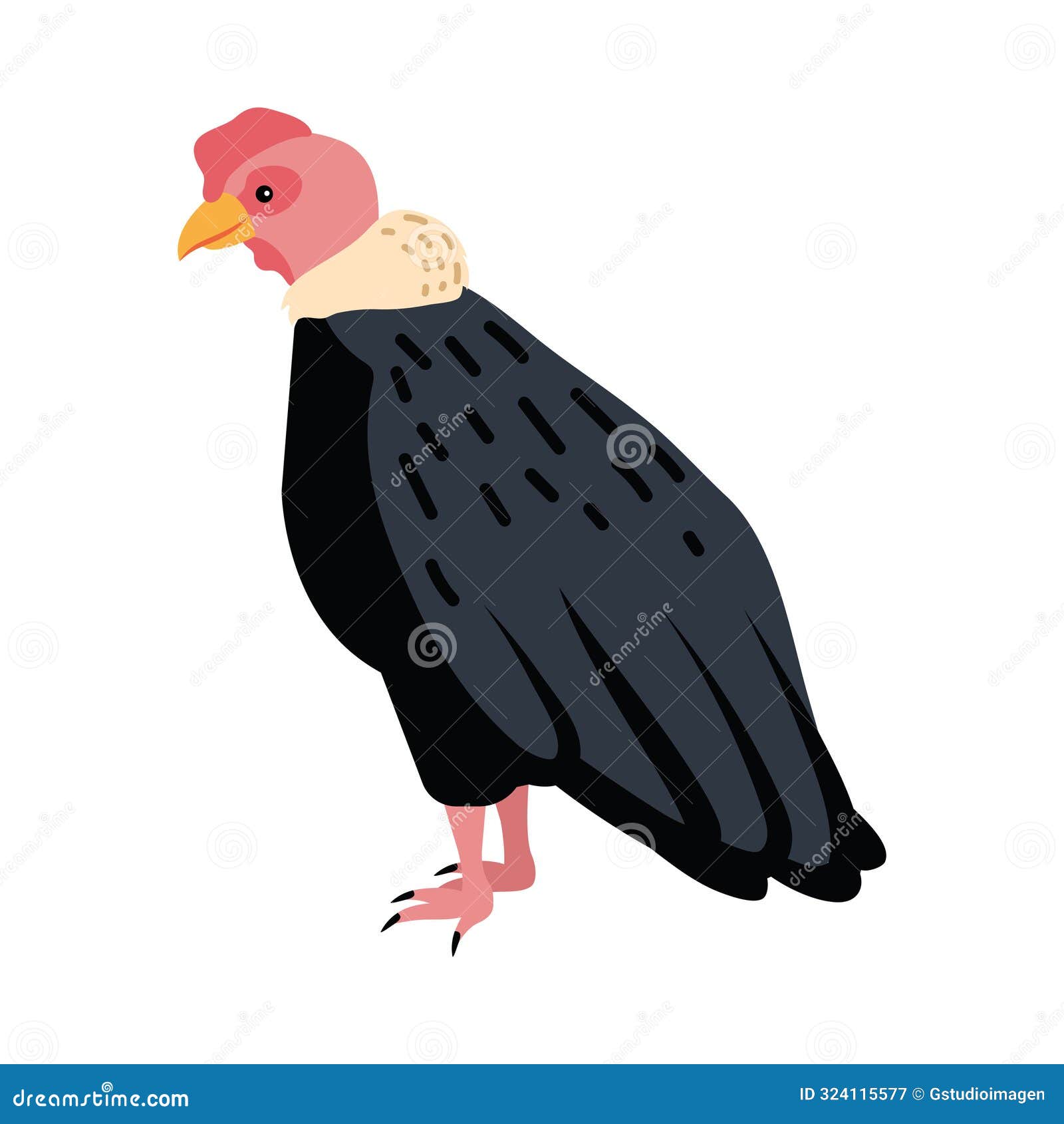 Andean condor bird cartoon stock illustration. Illustration of predator ...