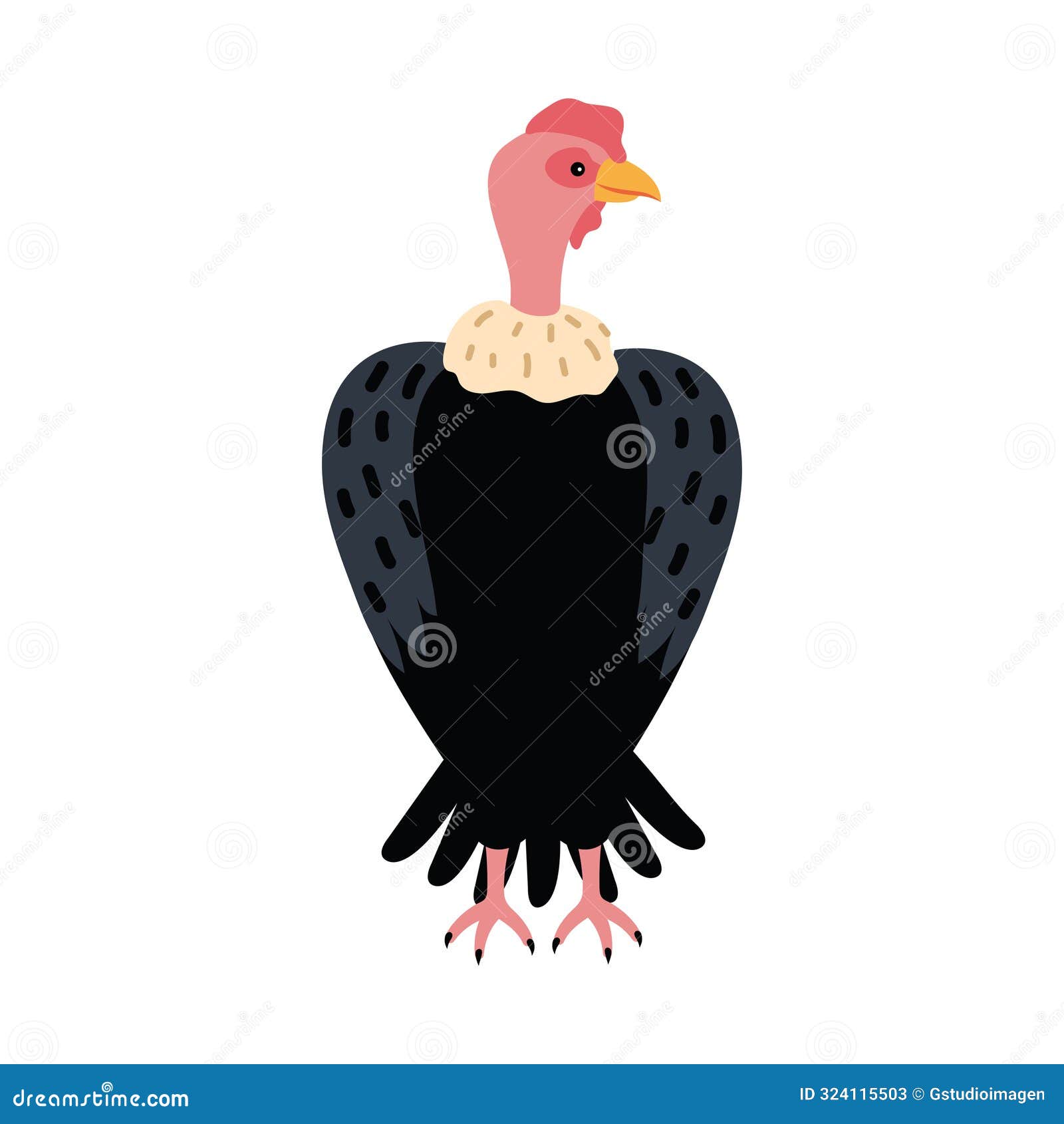 Andean Condor Front View Cartoon | CartoonDealer.com #324115503