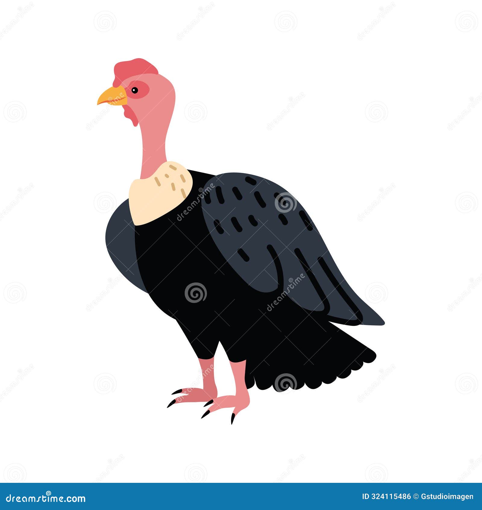 Andean Condor Large Bird Species Vector Illustration | CartoonDealer ...