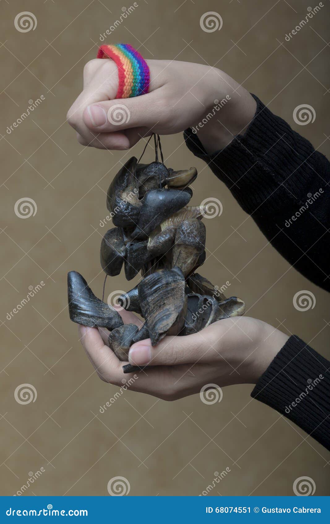 Andean instruments stock image. Image of rituals, entertainment - 68074551