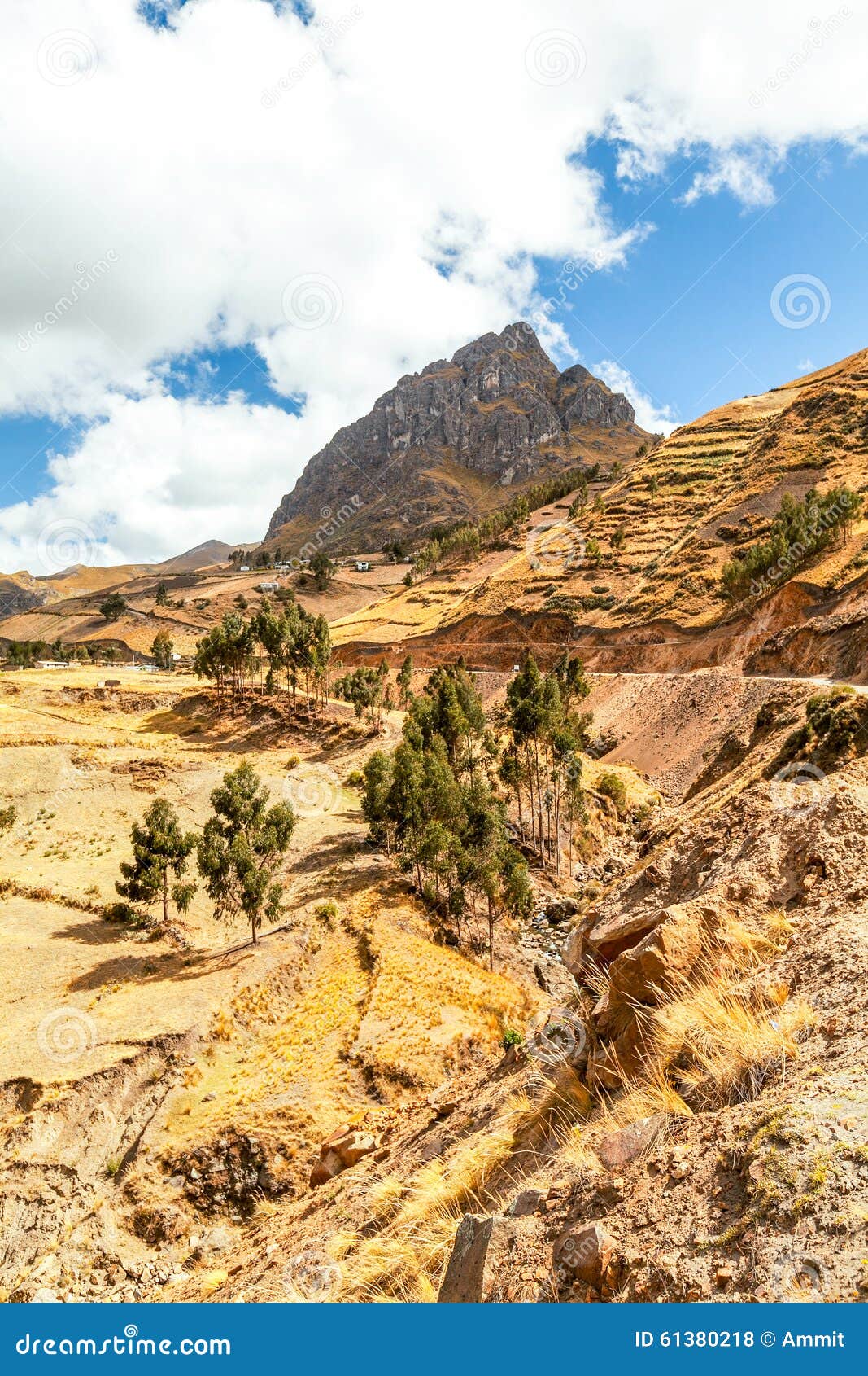 Andean Landscape Vertical stock photo. Image of mountains - 61380218
