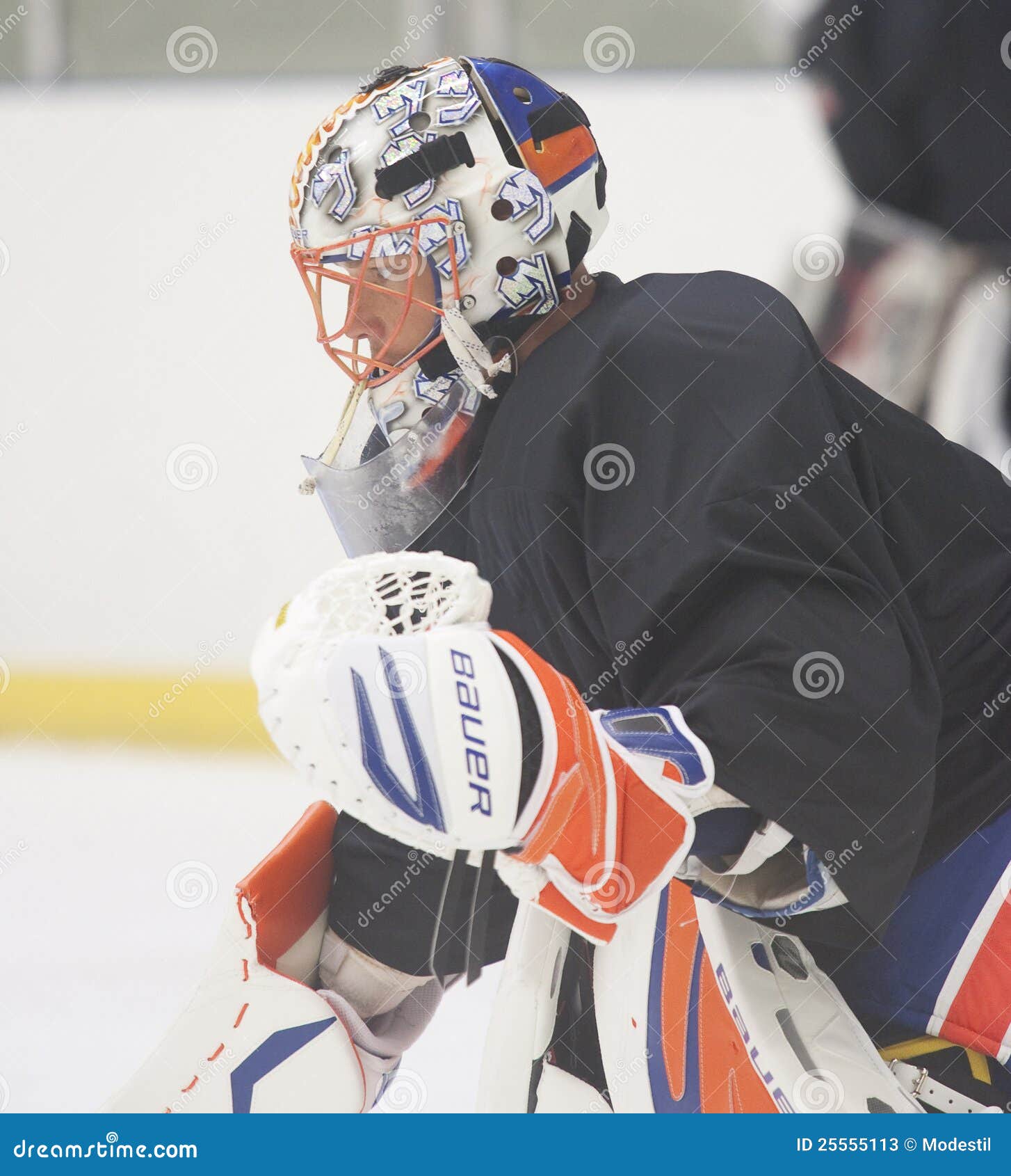 Anders Nilsson - New York Islanders Editorial Stock Photo - Image of stick, goalie: 25555113