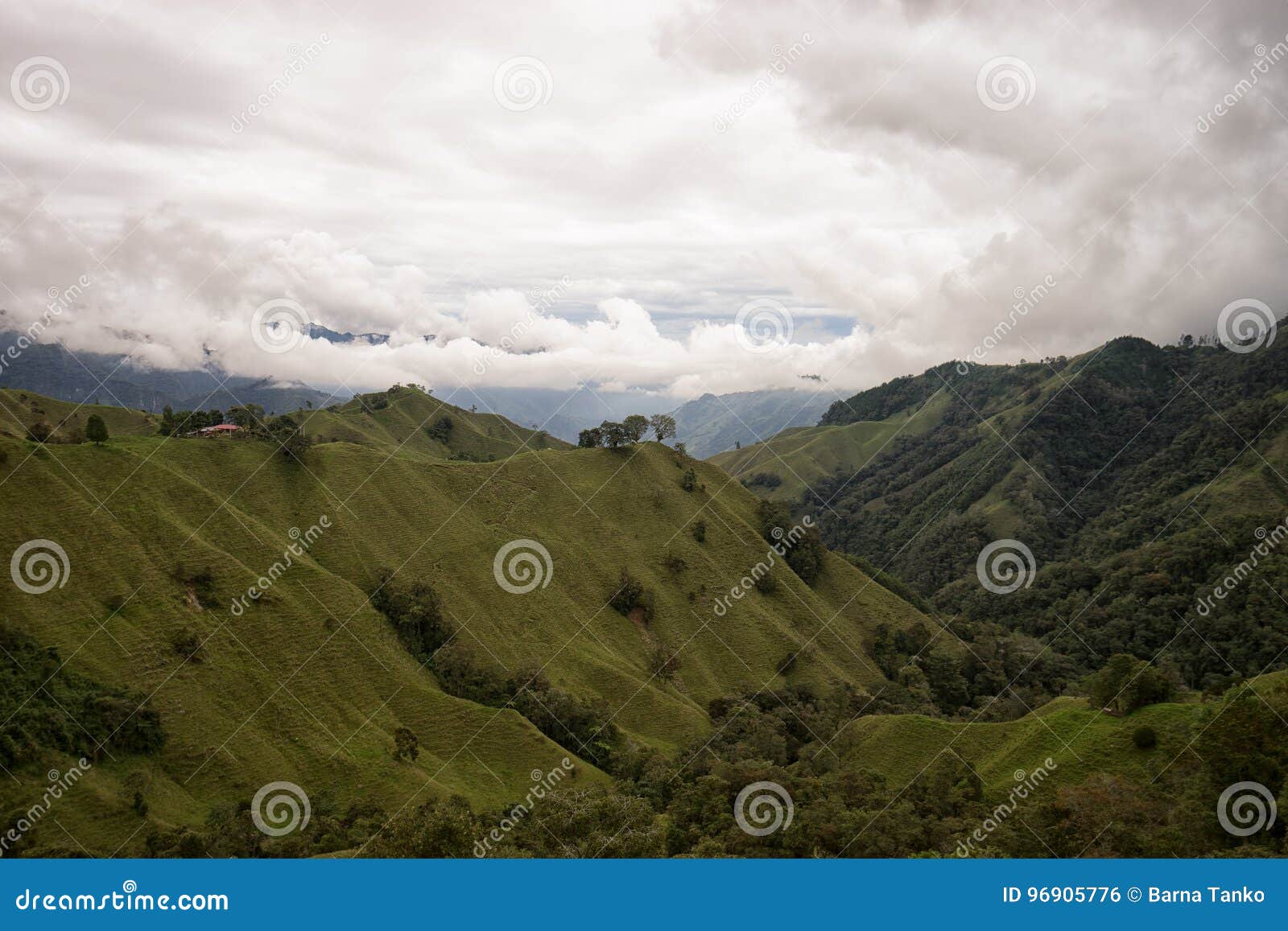 The Andes in Colombia stock photo. Image of view, mountain - 96905776